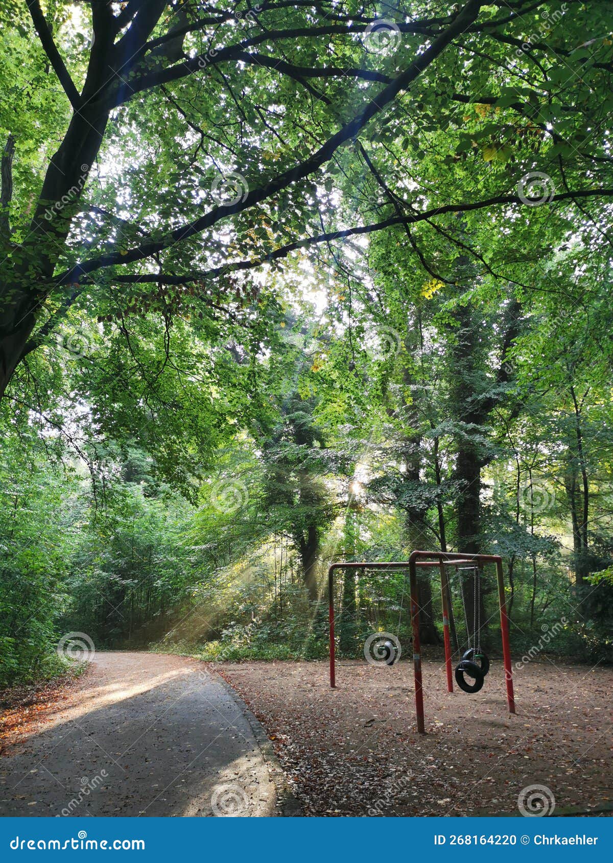 A Path through the Forest with Sun Rays through the Trees Stock Photo ...