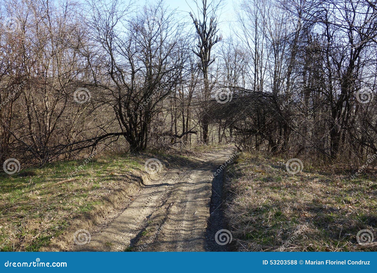 Path in forest stock photo. Image of campina, romania - 53203588