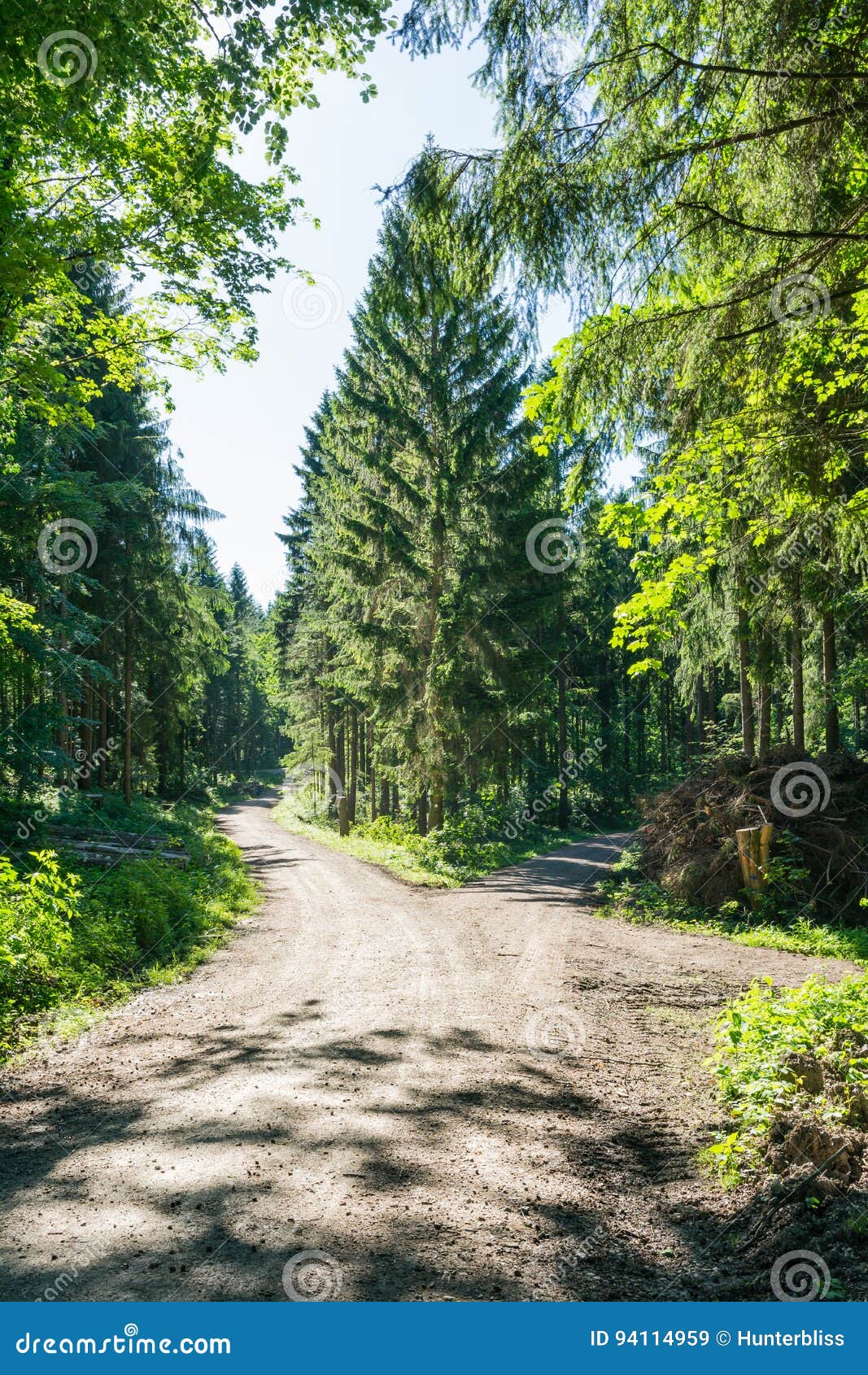 Two Diverging Dirt Roads. A Fork In Two Roads In A Field In The Late ...
