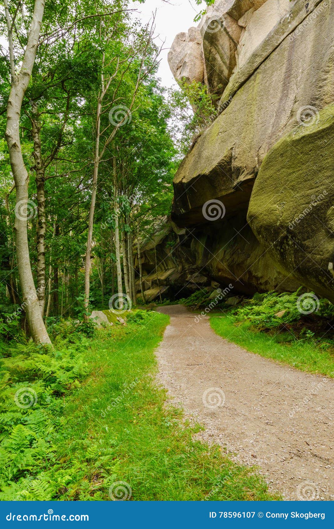 Path in Forrest by Rock Wall Stock Image - Image of summer, natural ...