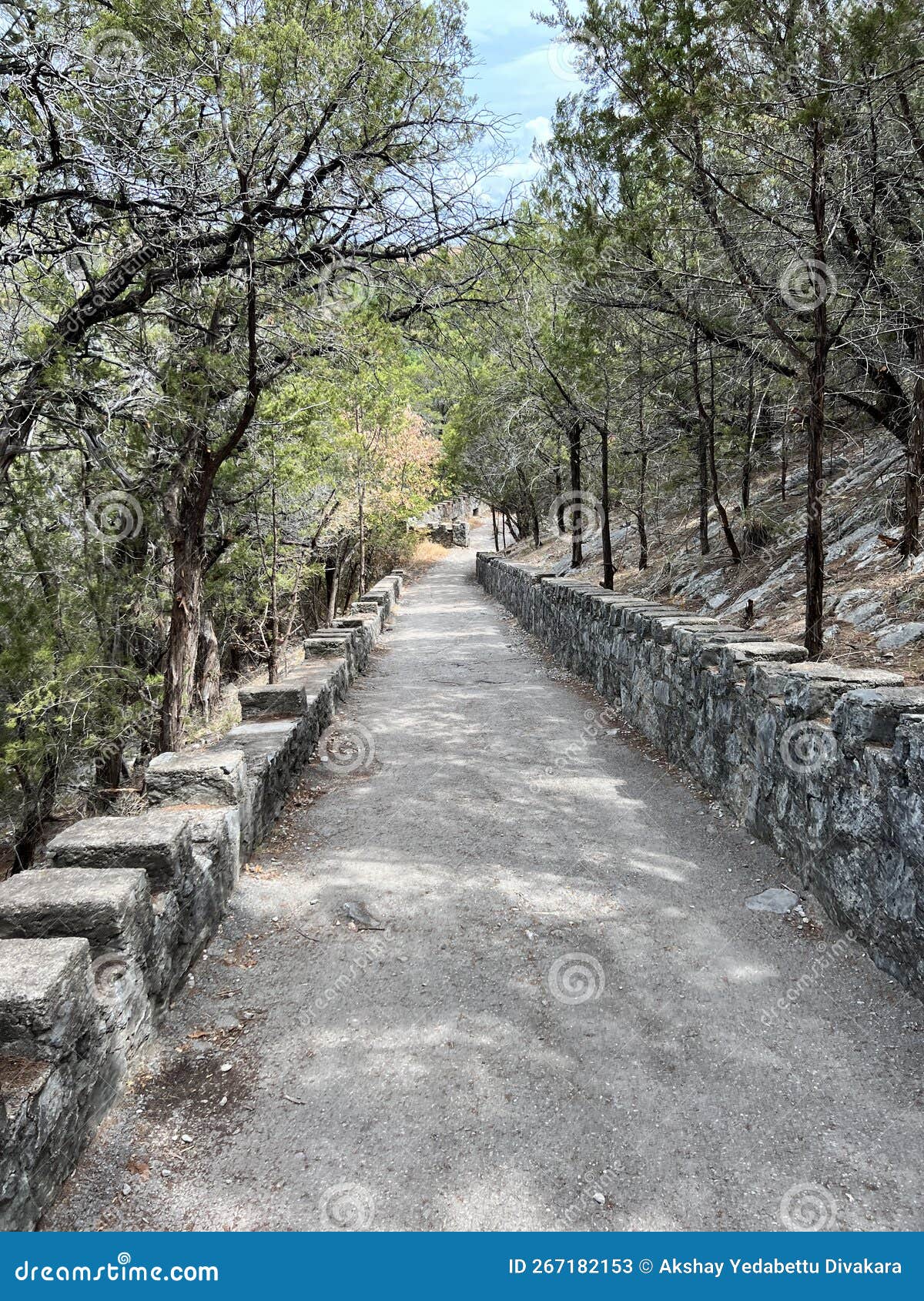 Path Forward is the Best Path Stock Image - Image of pathway, path ...