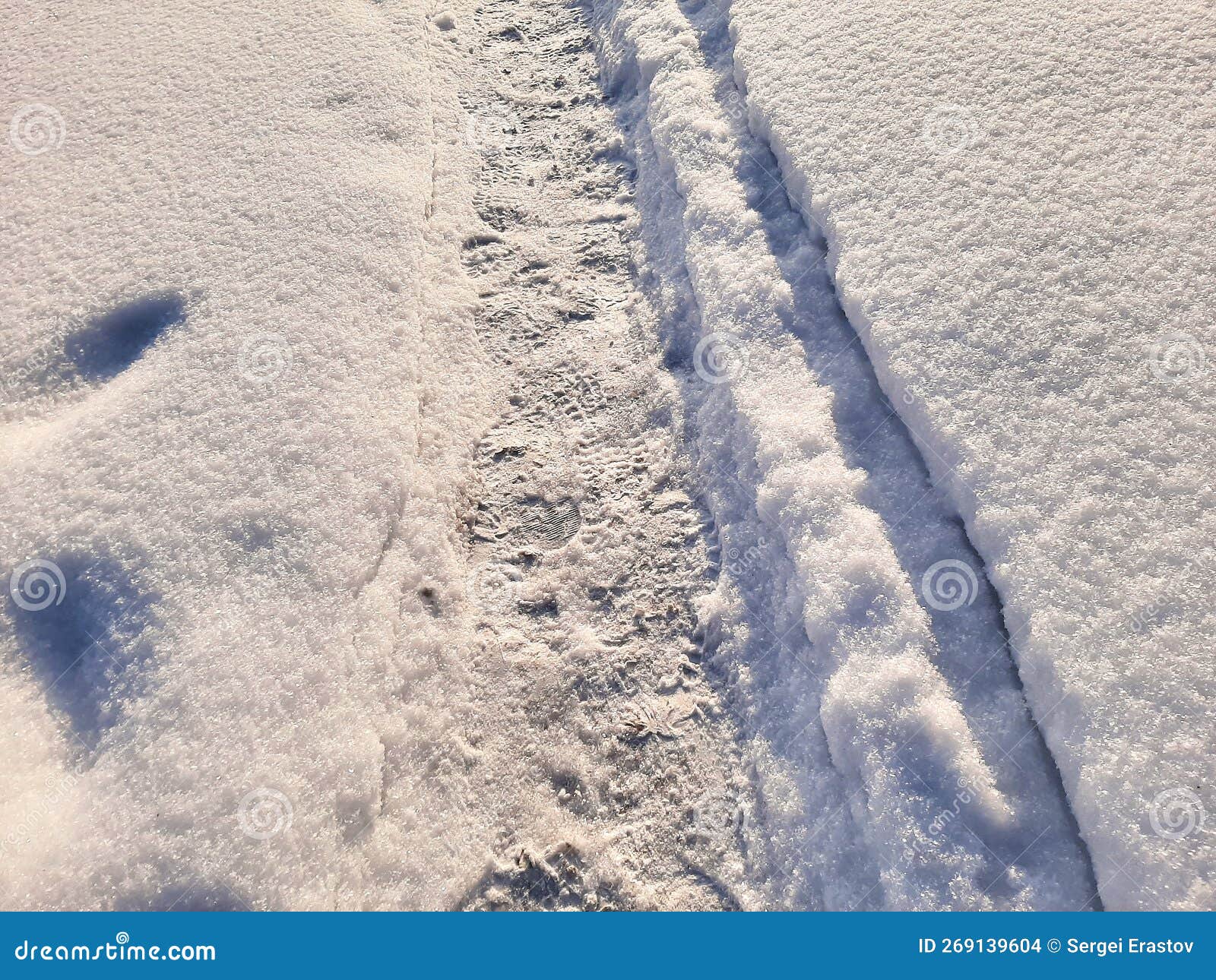 A Path with Fresh Footprints in the Snow in Winter Stock Photo - Image ...