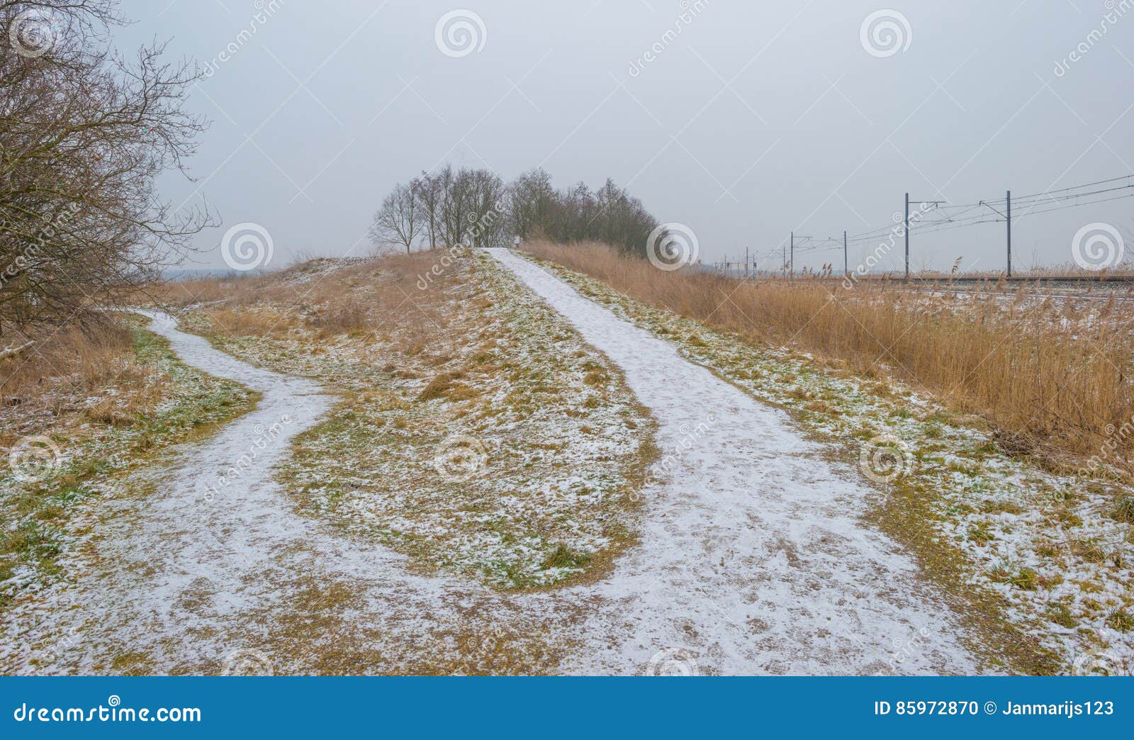 Path through a Frozen Field in Winter Stock Photo - Image of reed ...