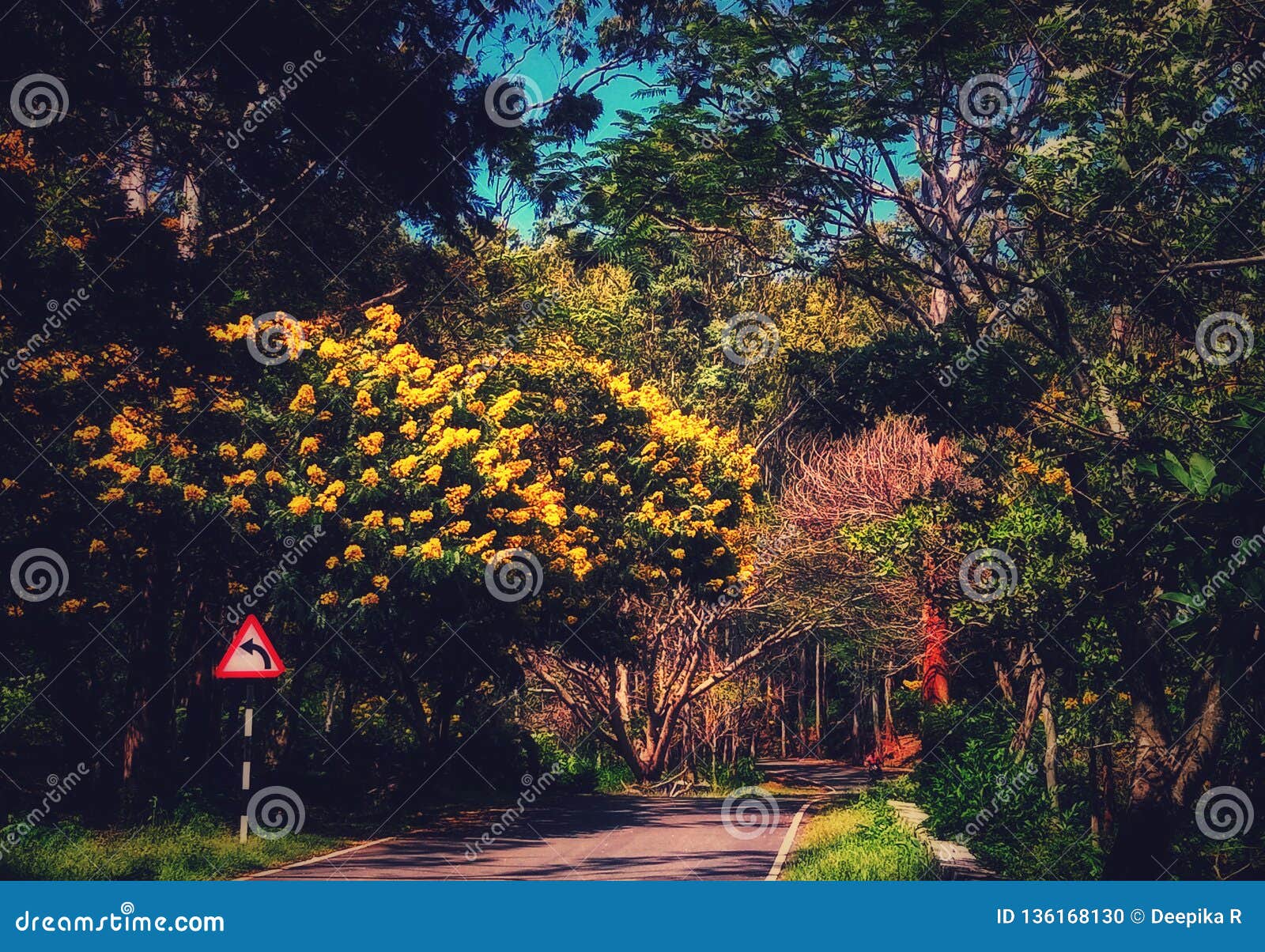 Beautiful path stock photo. Image of destination, path - 136168130