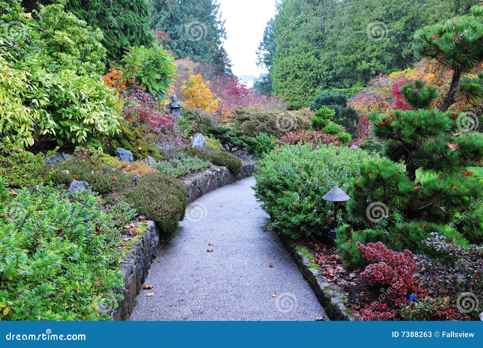Path in garden stock image. Image of autumn, flowers, greenery - 7388263