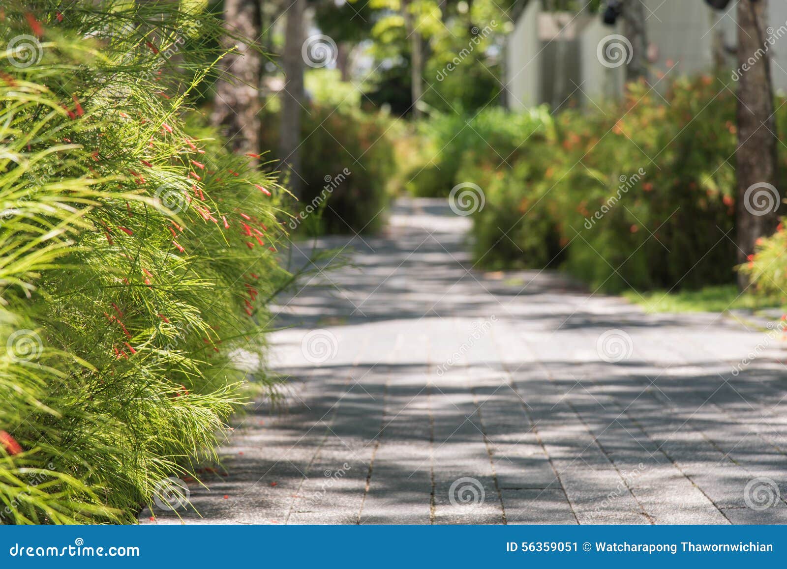 Path in the garden stock image. Image of granite, blossom - 56359051
