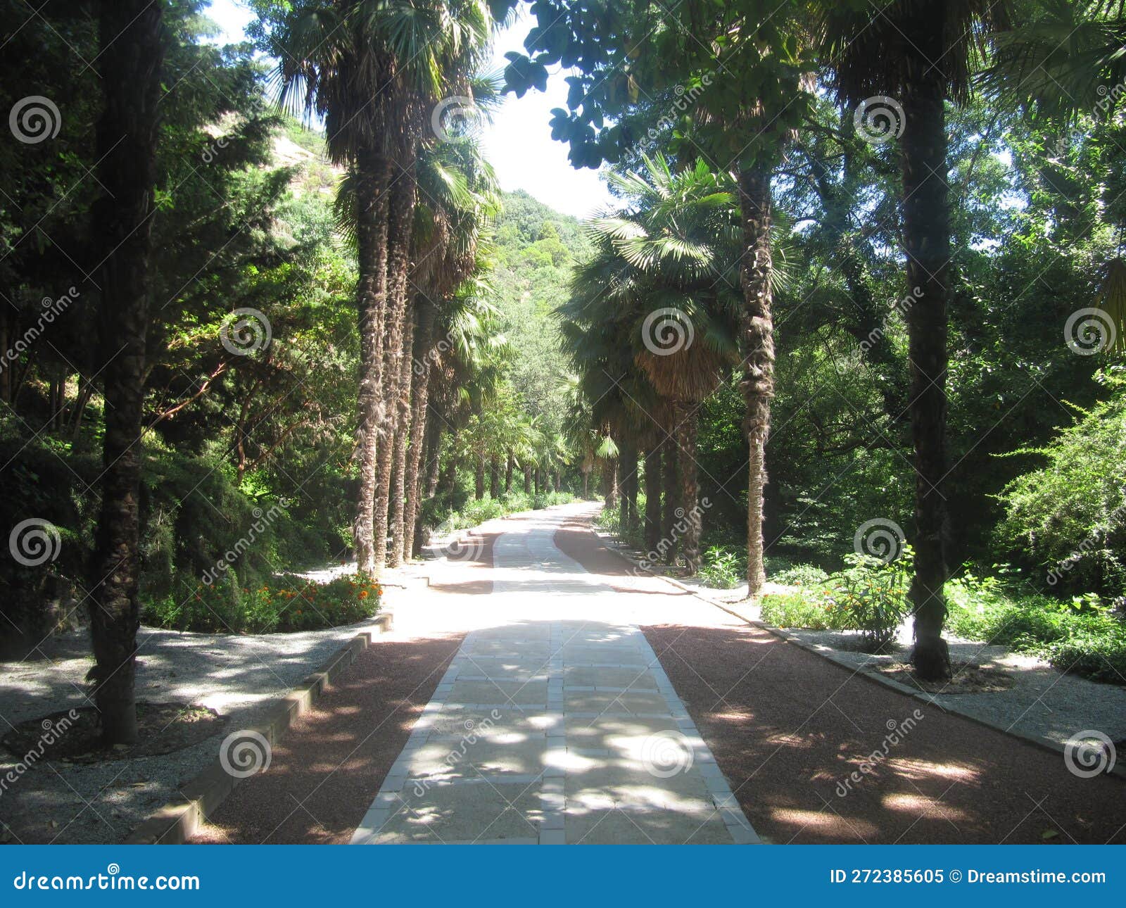 Path in the Garden among Greenery and Trees. Path for Running and ...