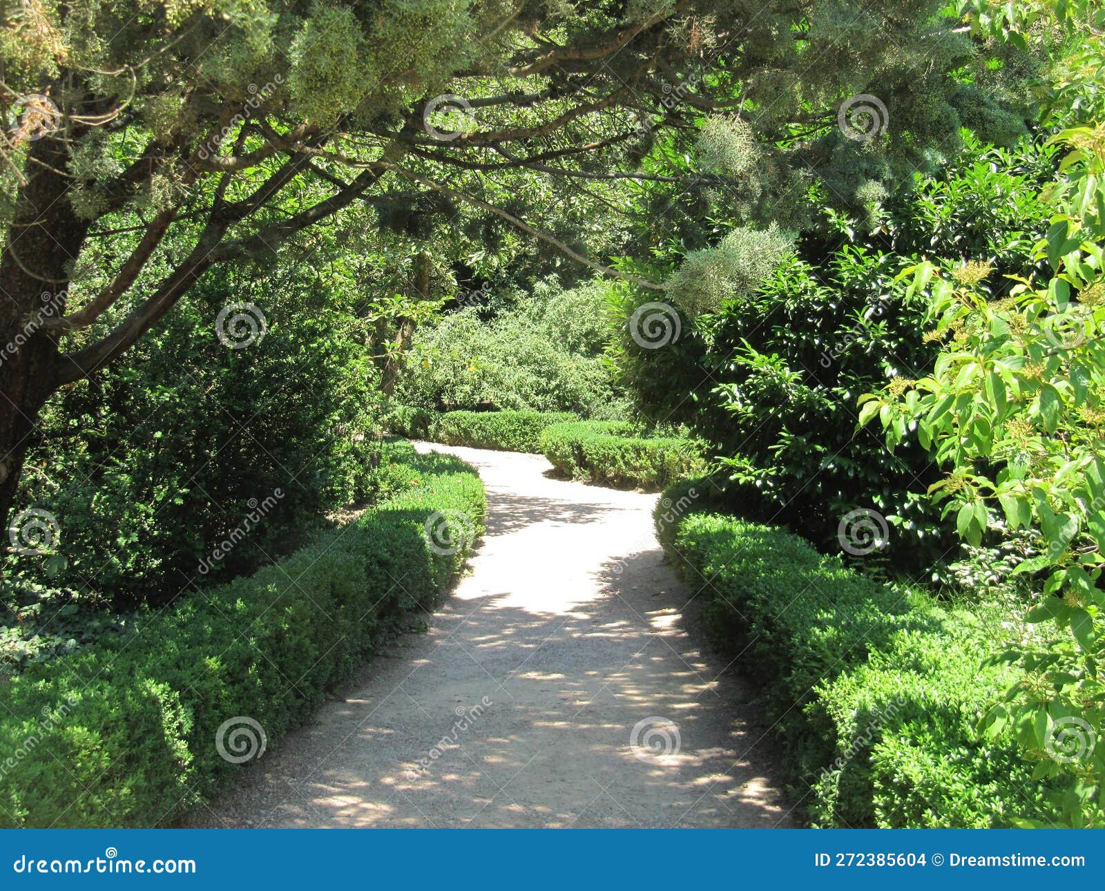 Path in the Garden among Greenery and Trees. Path for Running and ...