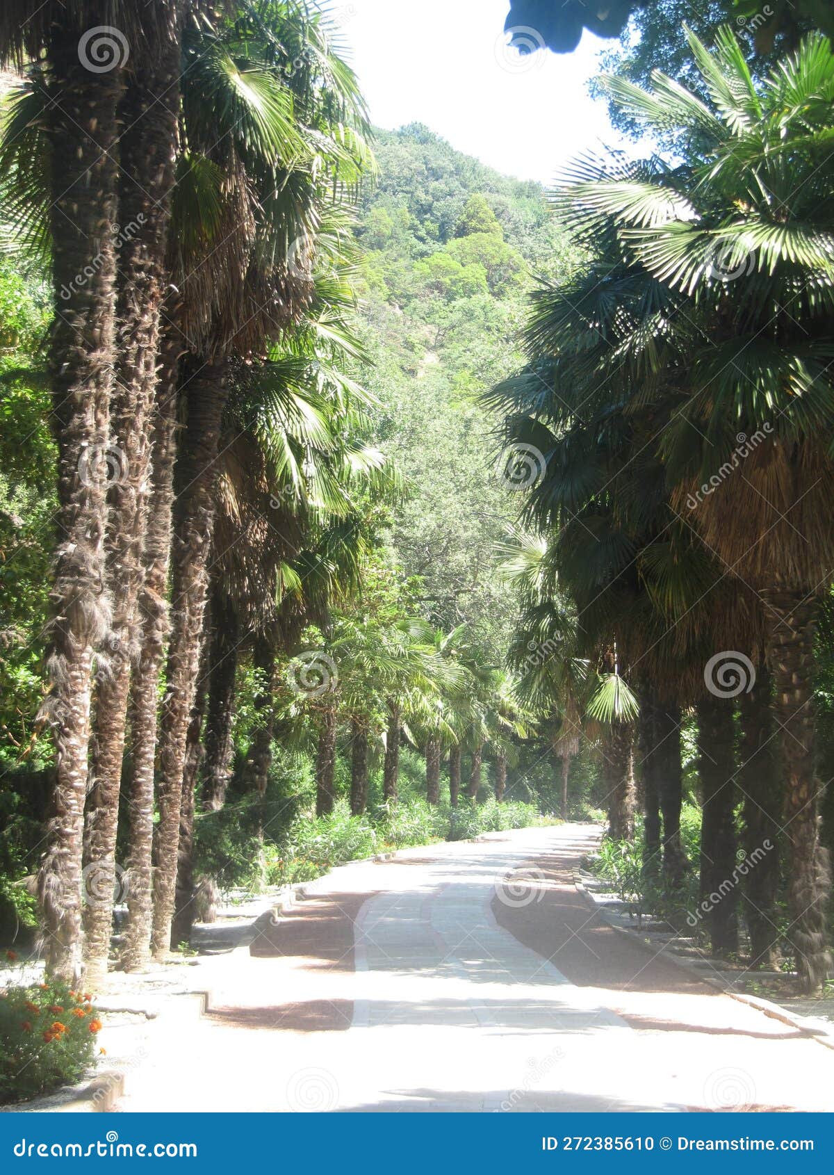 Path in the Garden among Greenery and Trees. Path for Running and ...
