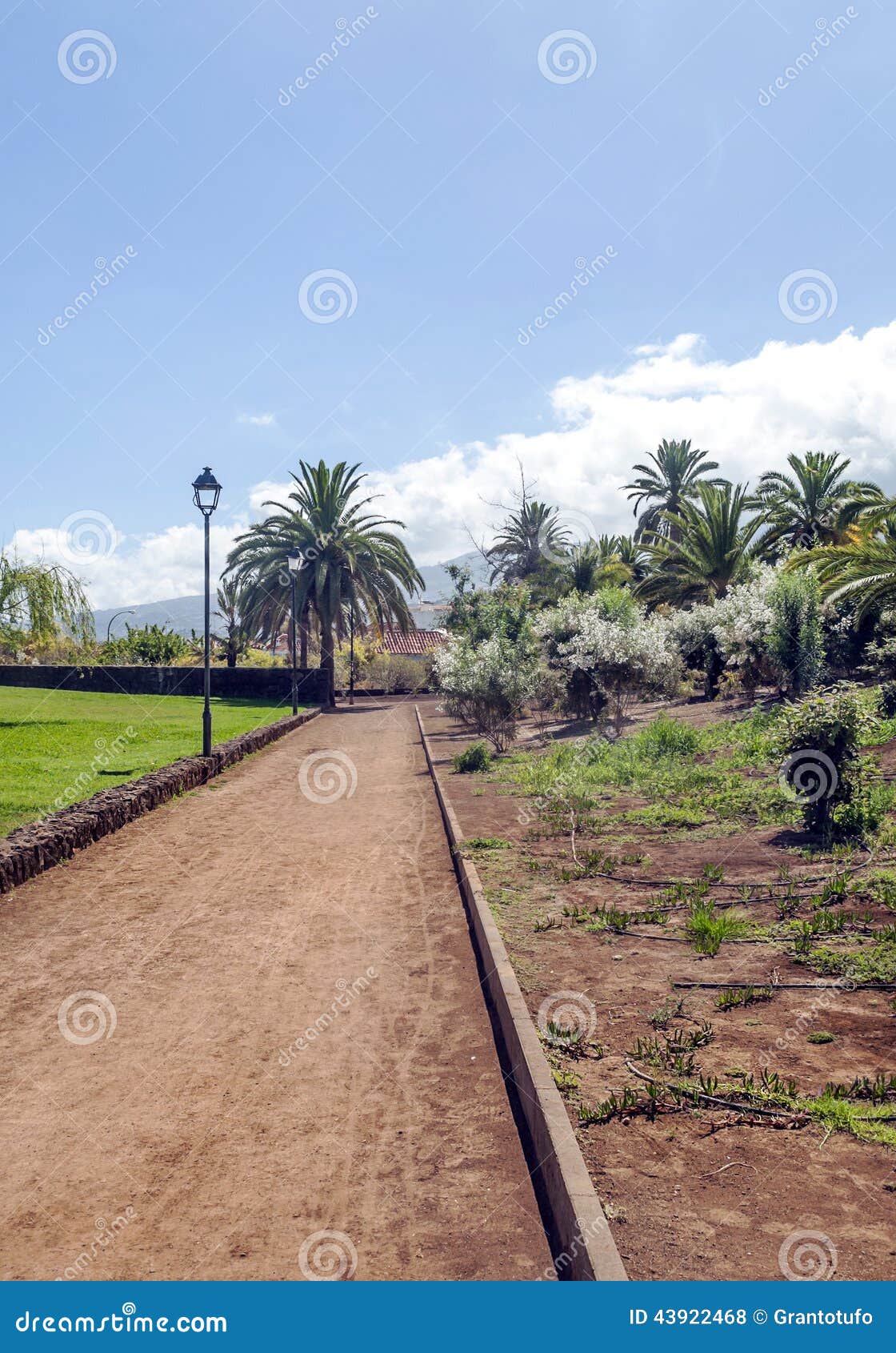 Path in a Garden with Palm Trees Stock Photo - Image of lamp, landmark ...