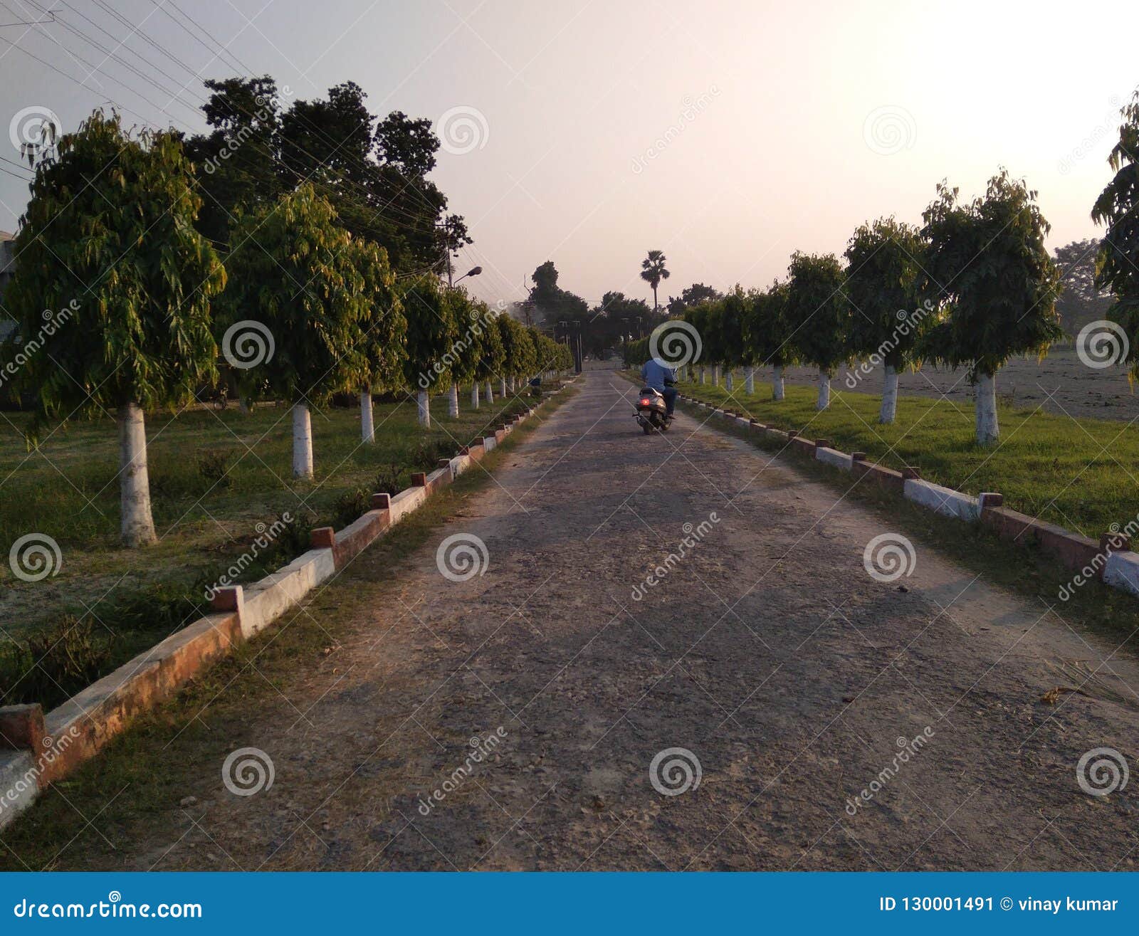 Path in the garden stock image. Image of green, road - 130001491