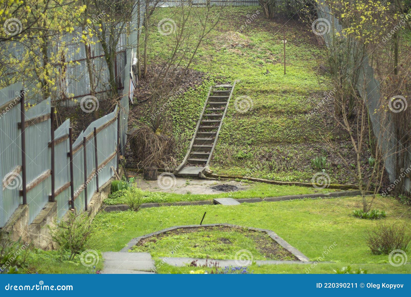 Path in the Garden. Garden on a Rainy Day Stock Image - Image of color ...