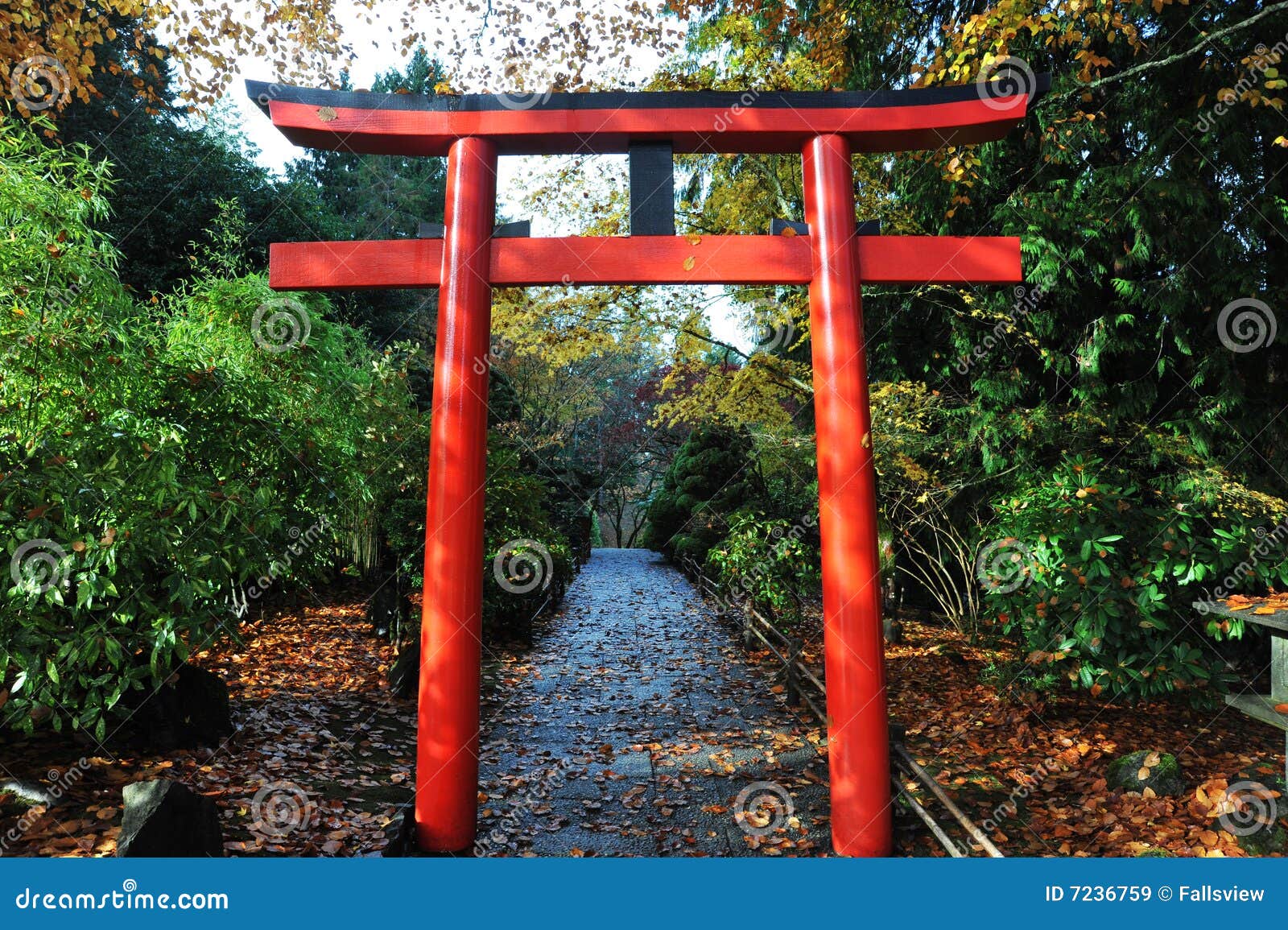 Path and gate stock image. Image of beautiful, nature - 7236759