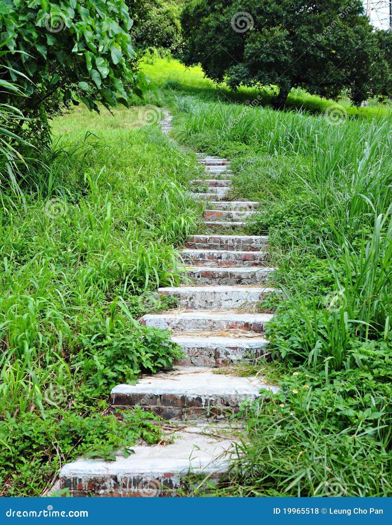 Path go up mountain stock photo. Image of range, highland - 19965518