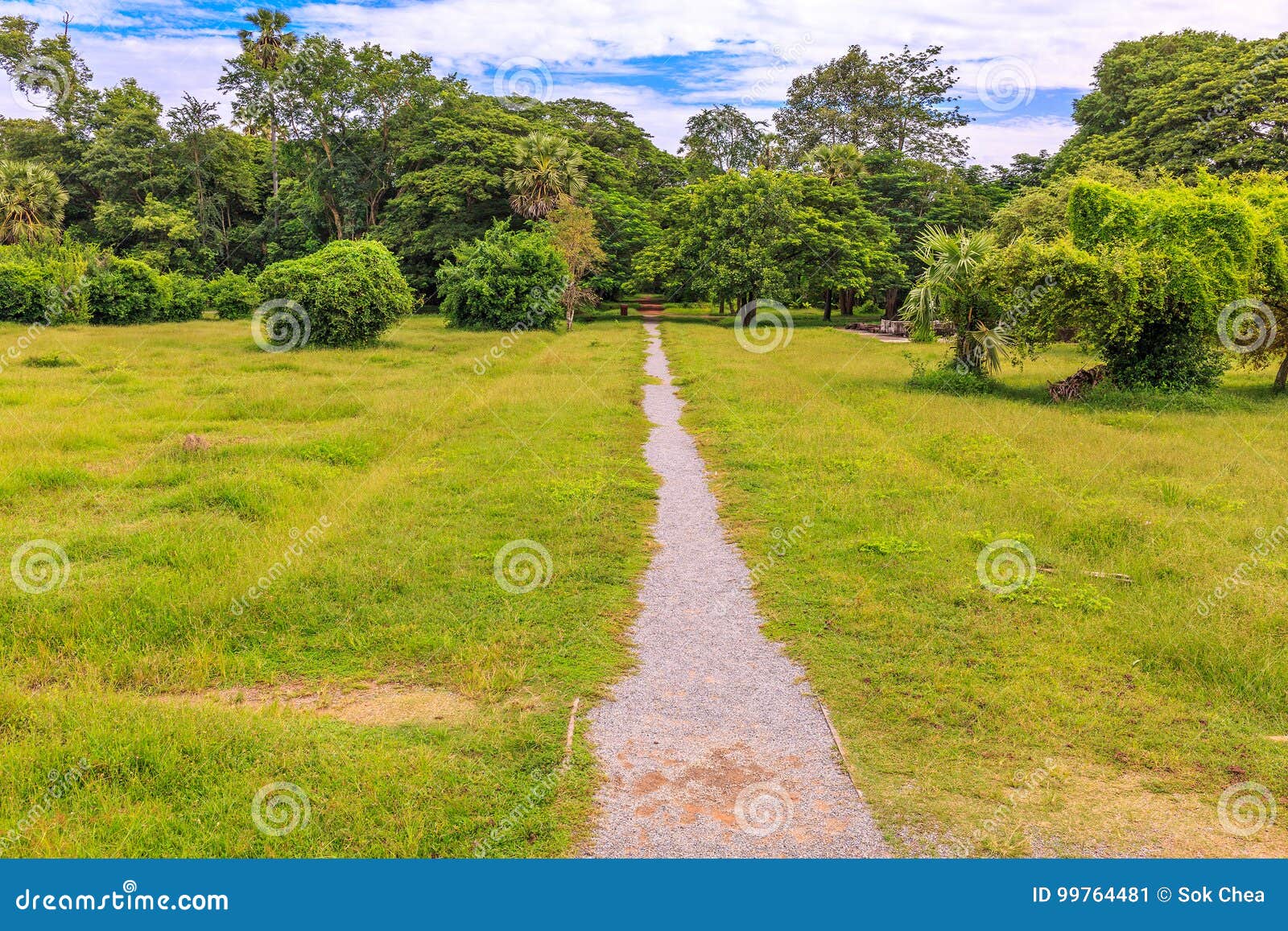 Path Going through Beautiful Green Grass in a Park Stock Image - Image ...
