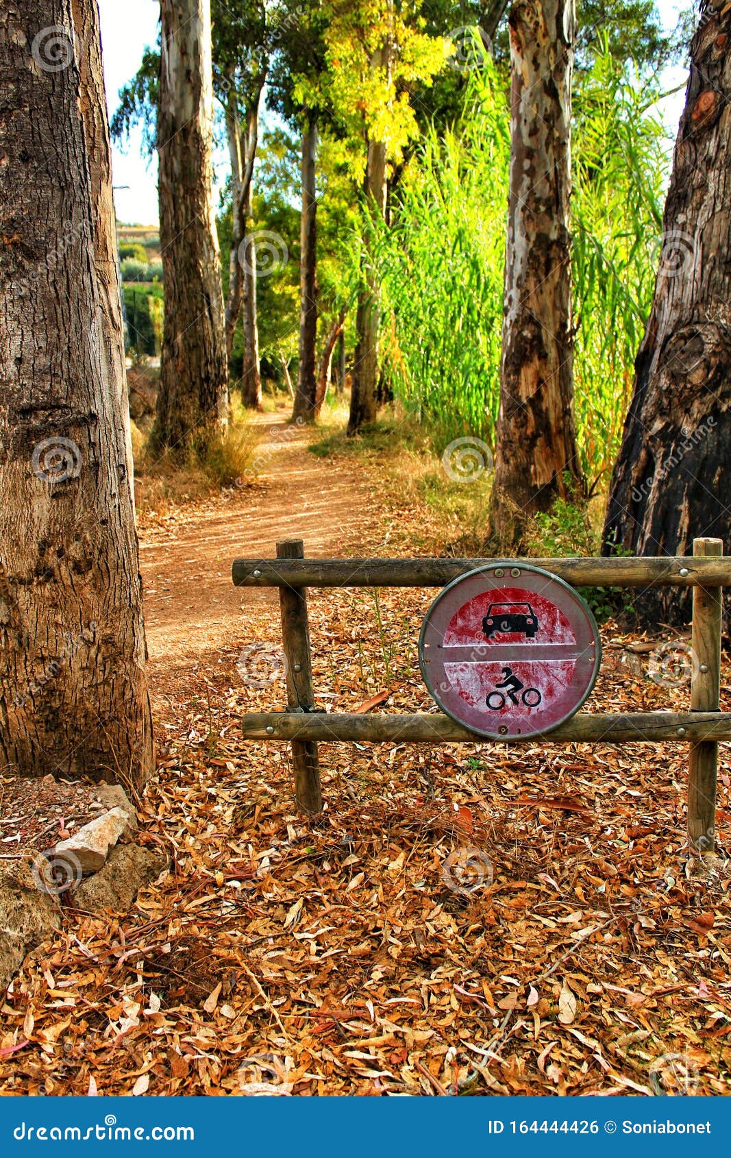 Path Going into the Forest and Forbidden Sign Stock Photo - Image of ...