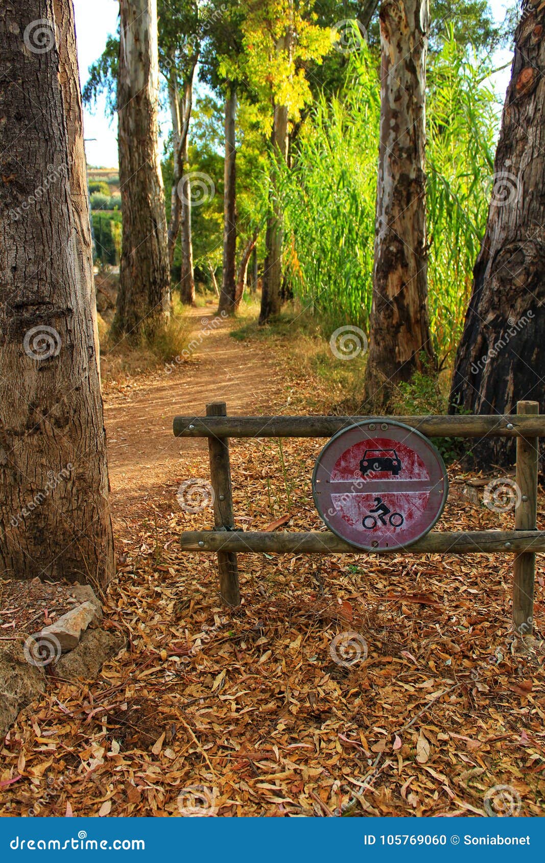 Path Going into the Forest and Forbidden Sign. Stock Photo - Image of ...