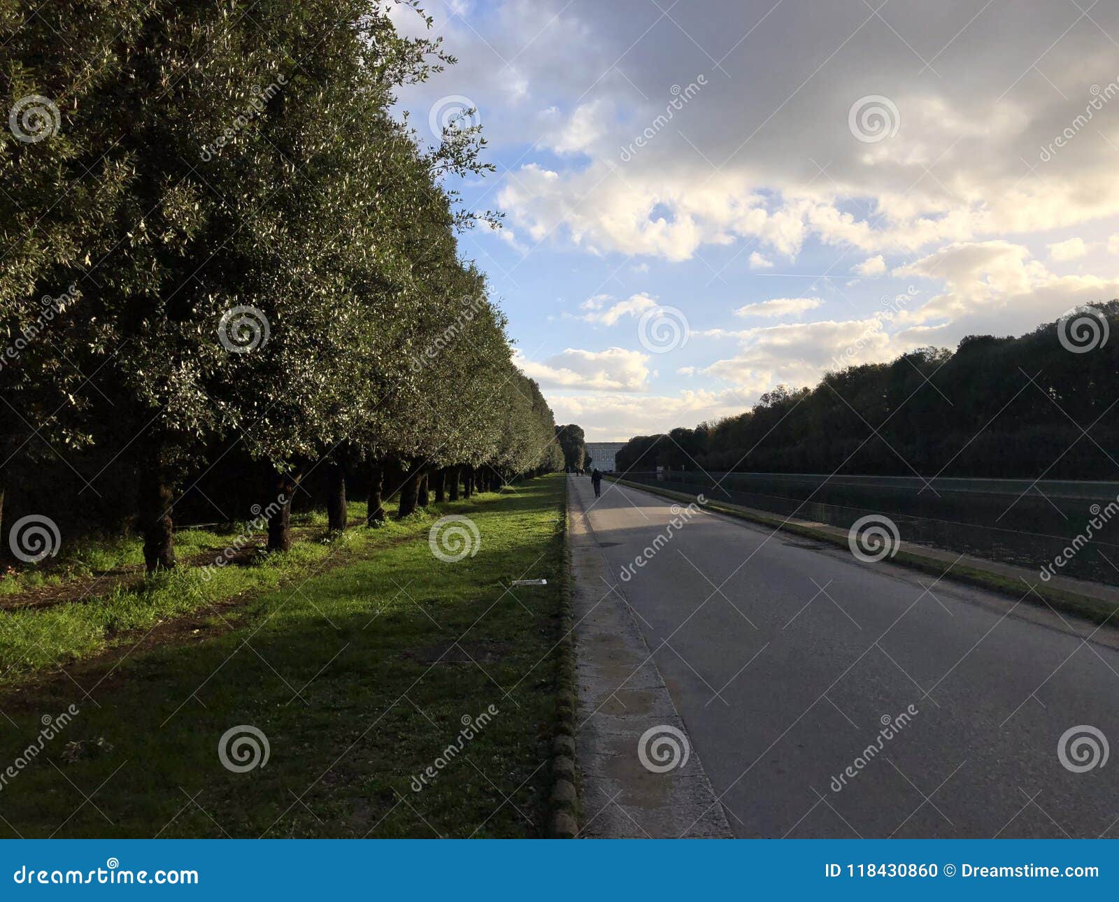 The path going to infinity stock photo. Image of boardwalk - 118430860