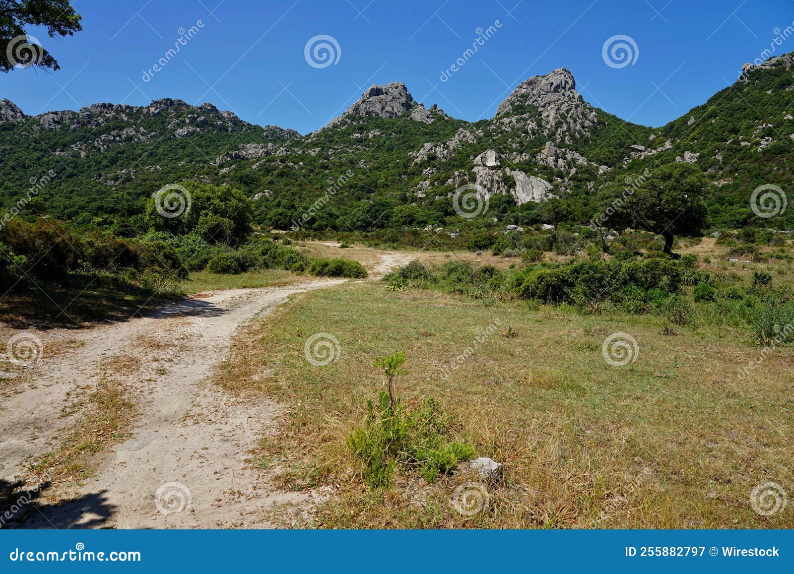 Path Going through a Valley with Mountains and Trees Surrounding it ...