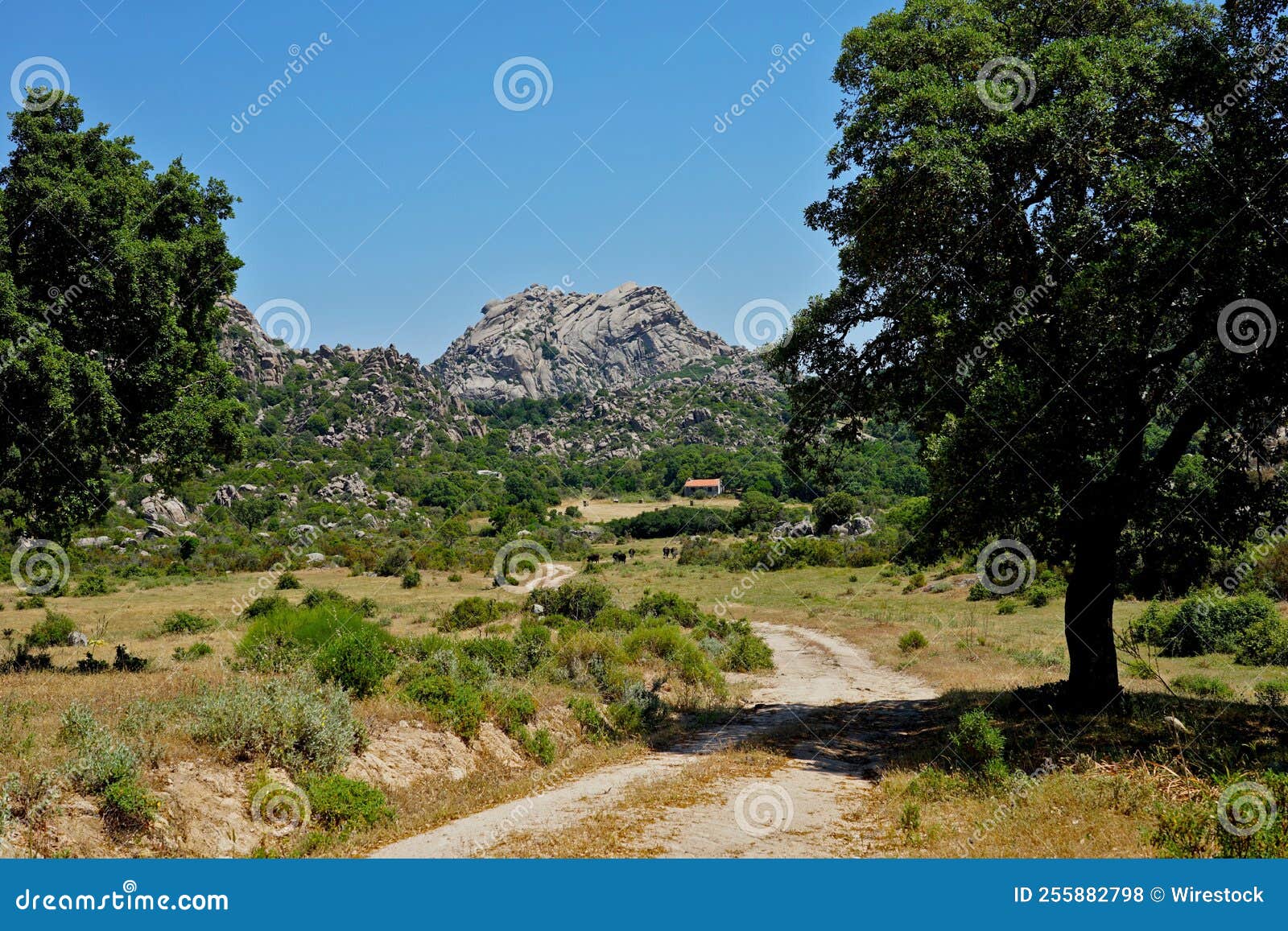 Path Going through a Valley with Mountains and Trees Surrounding it ...