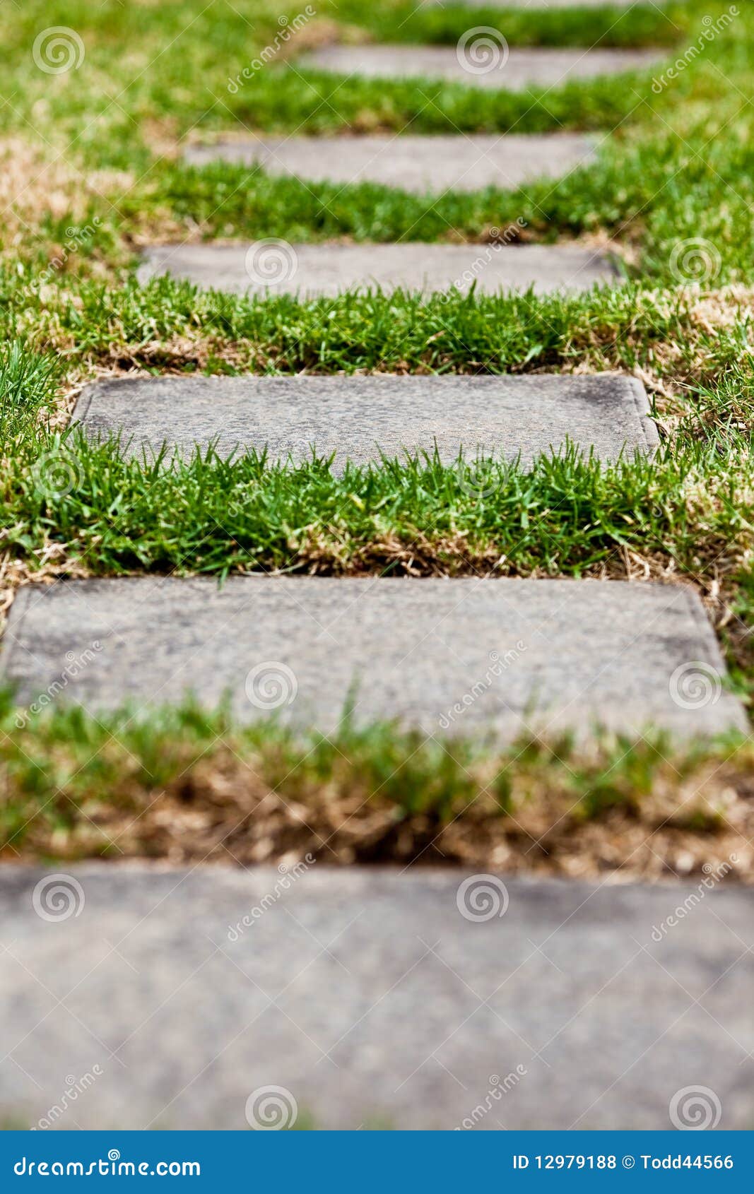 Path in the grass stock photo. Image of concrete, gray - 12979188