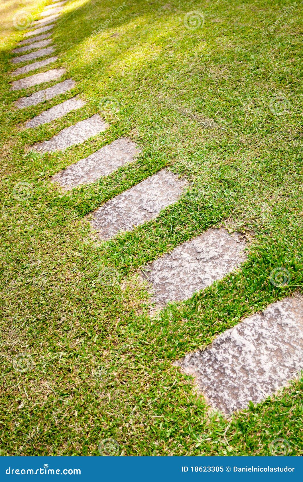 Path in the Grass stock image. Image of walk, path, road - 18623305