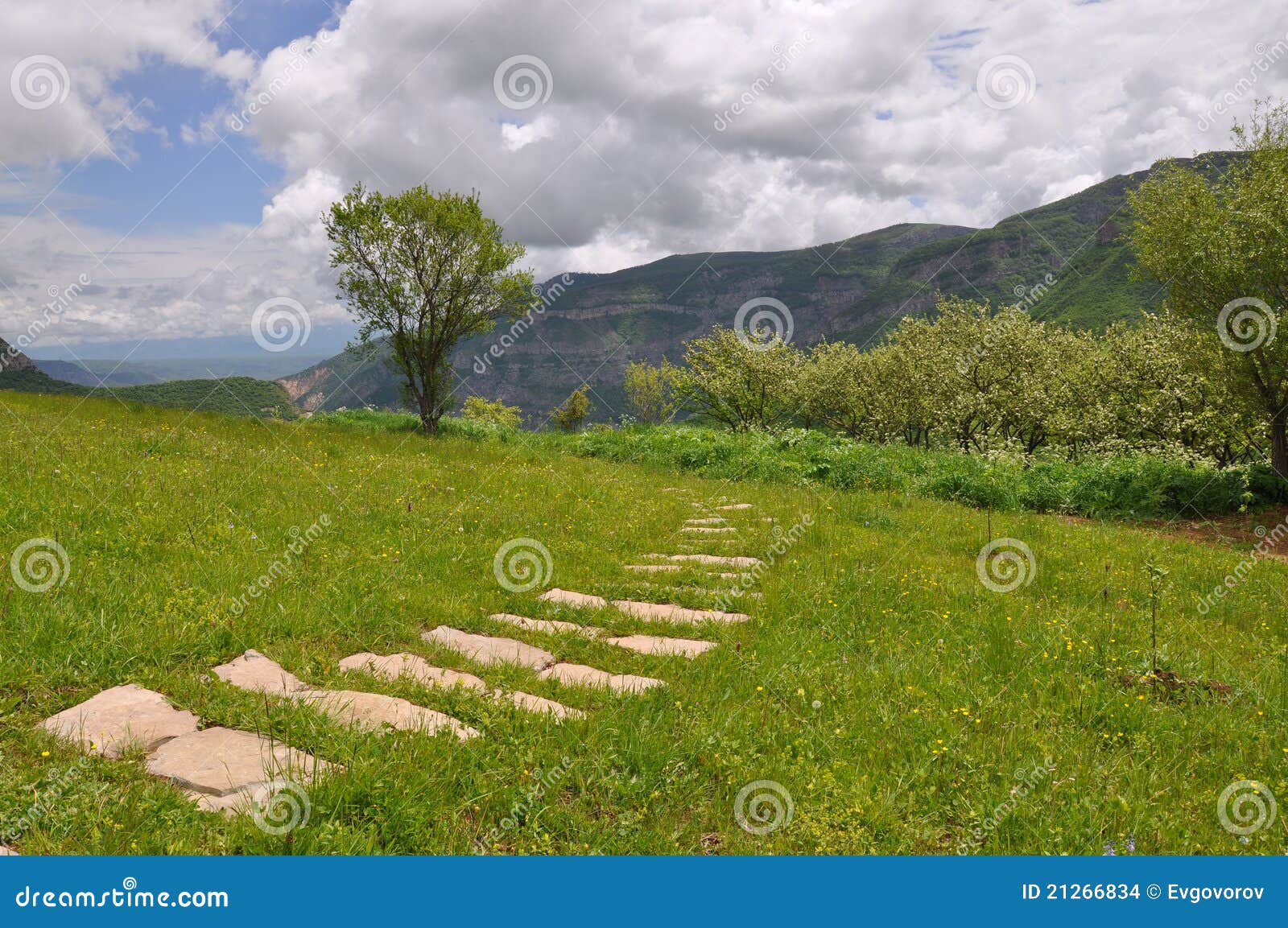 Path in the Grass stock photo. Image of meadows, trees - 21266834