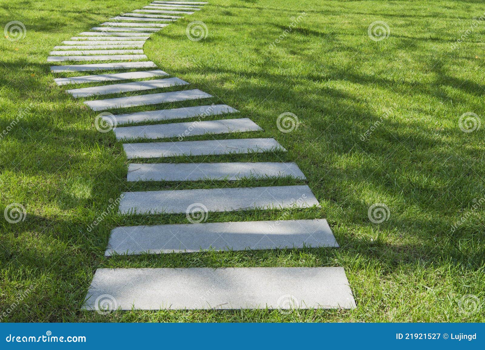 A path on the grass stock image. Image of walk, summer - 21921527
