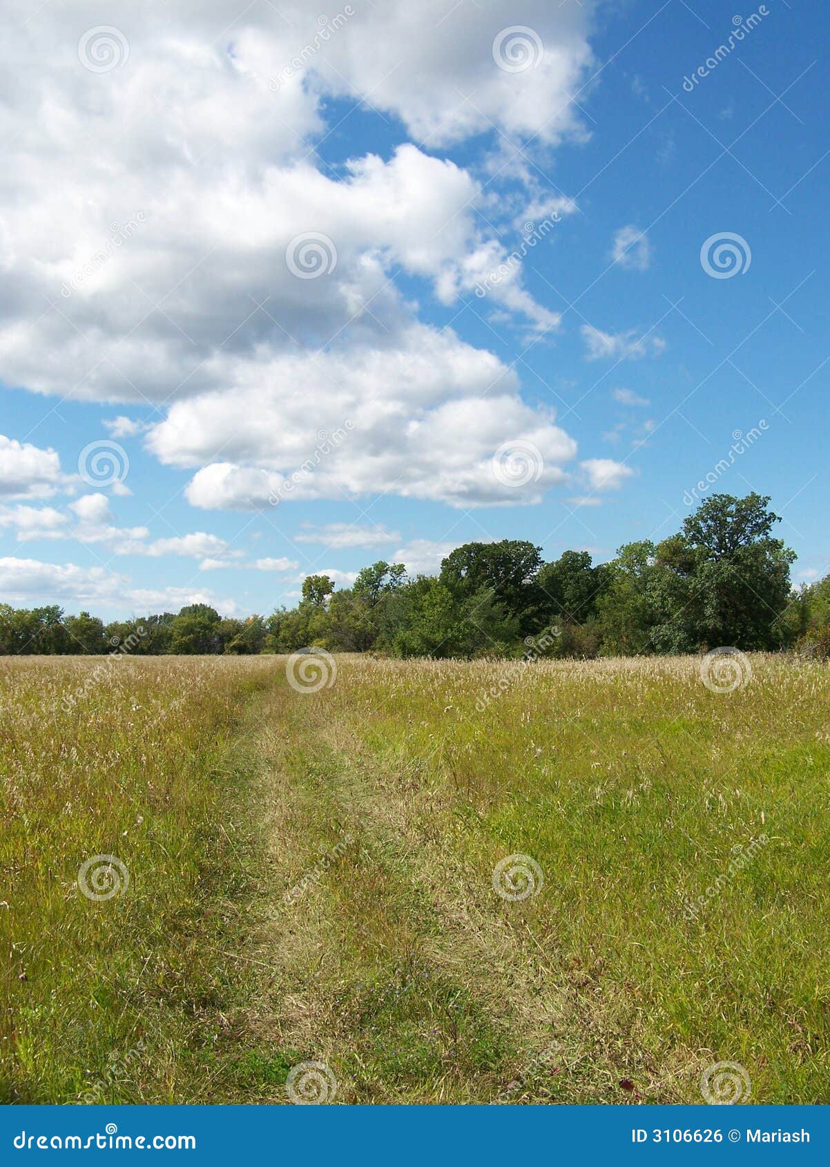 Path through Grass stock photo. Image of land, field, blue - 3106626