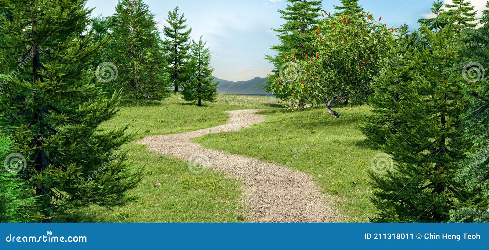 Path in the Grass Field with Pine Trees. 3D Rendering Stock ...