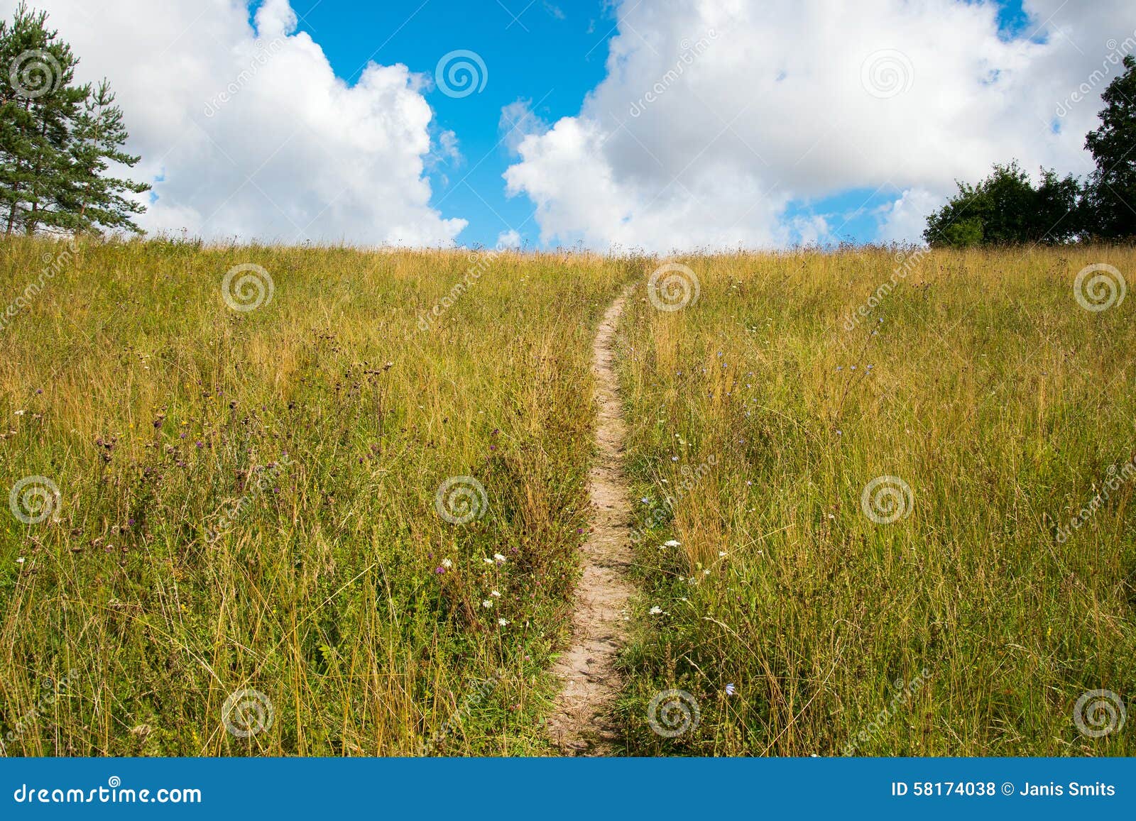 Path in grass. stock photo. Image of track, mountain - 58174038