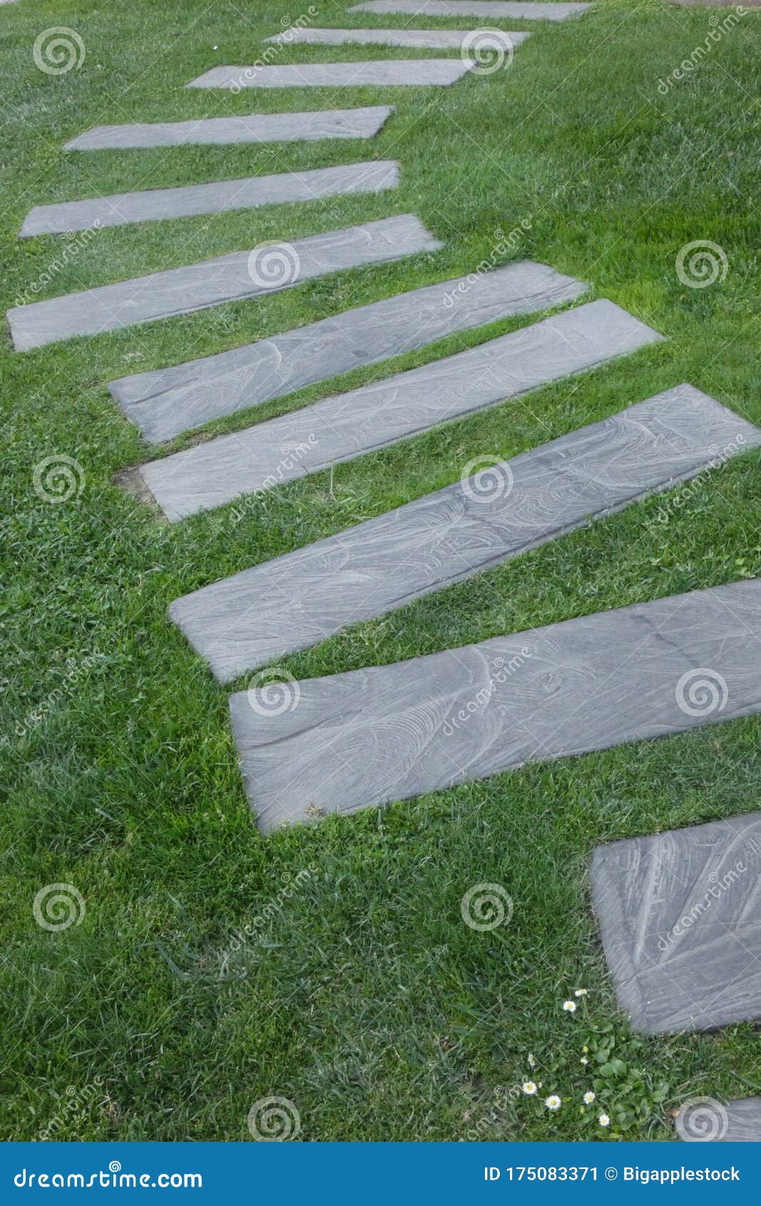 Path on the Grass stock image. Image of forward, walk - 175083371