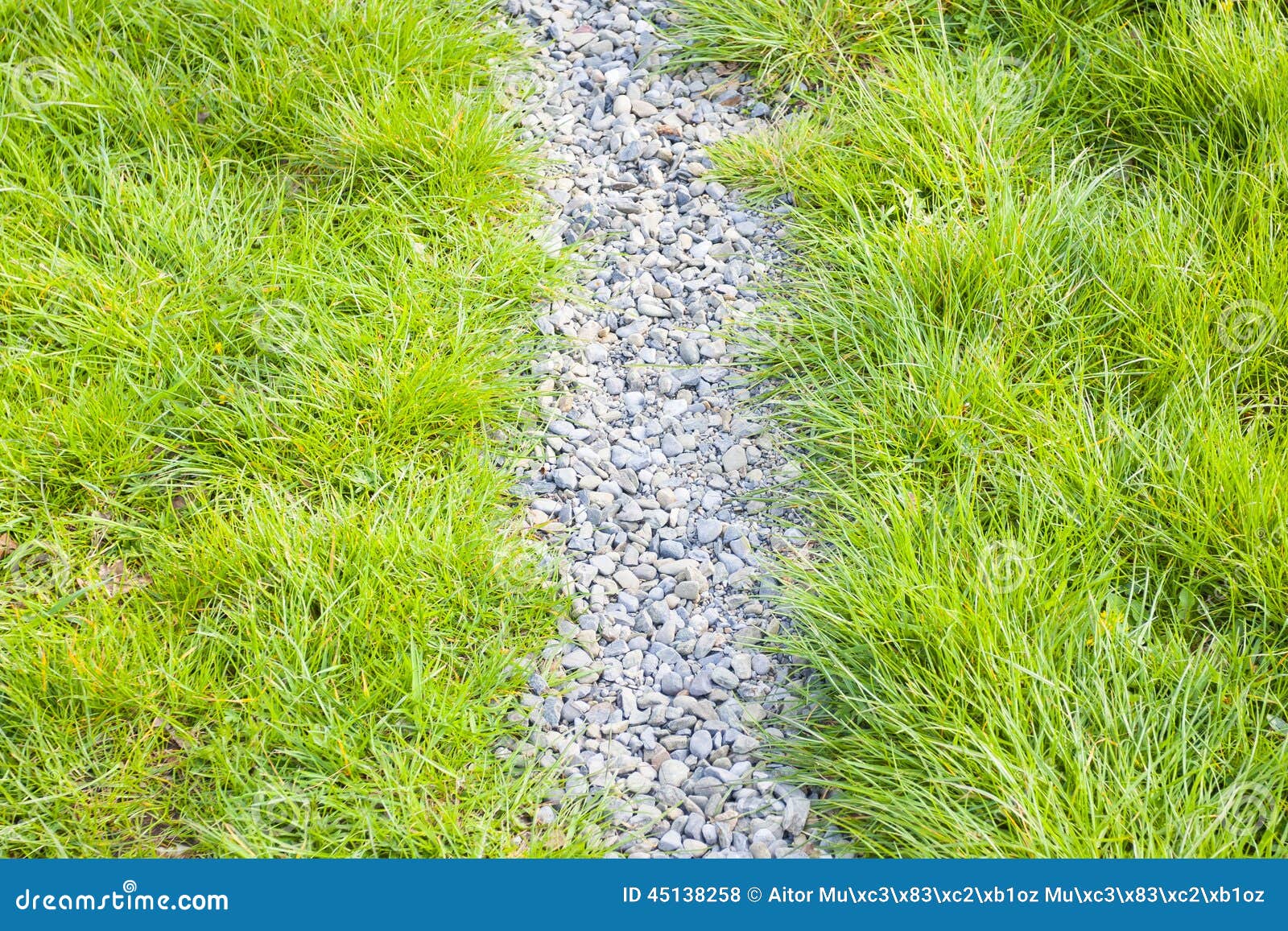 Path through the grass stock photo. Image of texture - 45138258