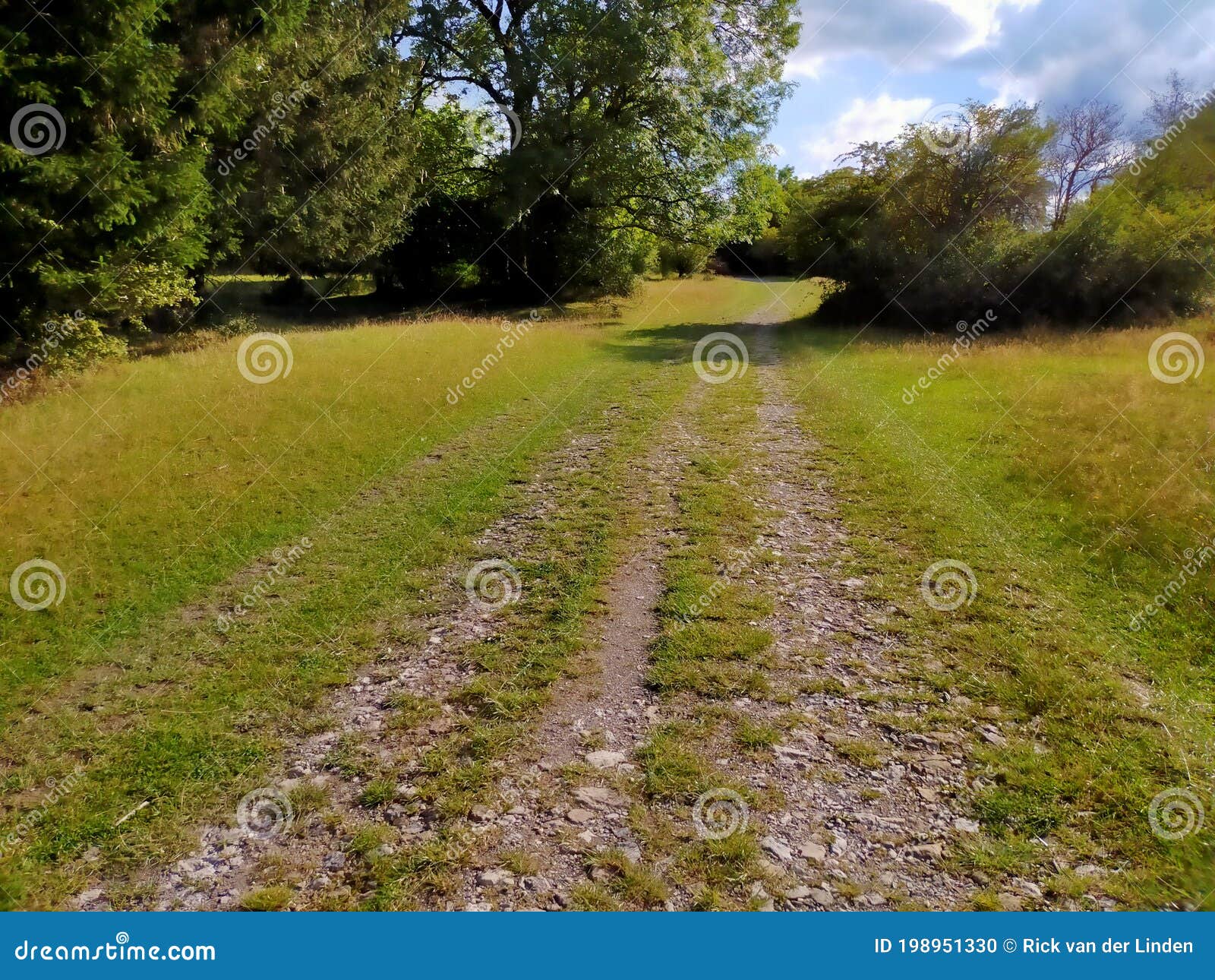 Path through Grass and Trees Stock Photo - Image of trees, lawn: 198951330