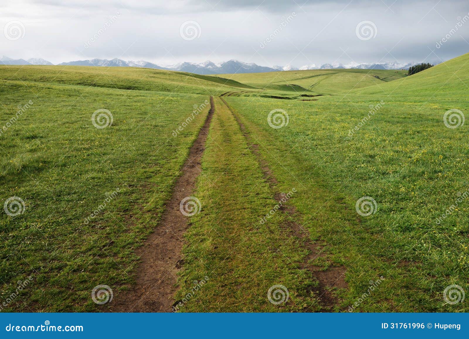 Path in grassland stock photo. Image of fairy, fields - 31761996