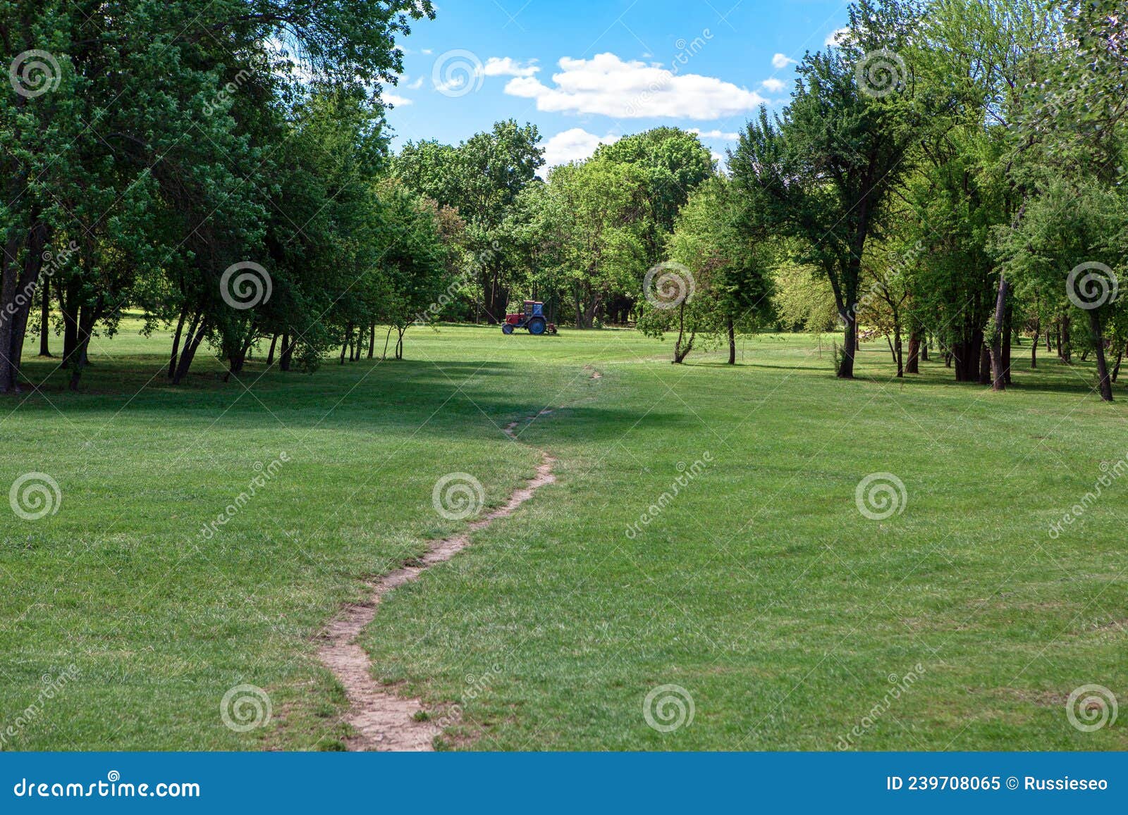 Path through the Grassy Plain Stock Image - Image of jogging ...