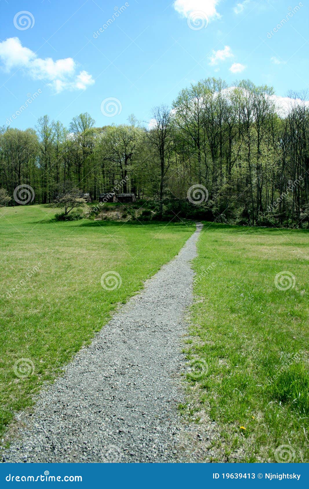 Path through a green field stock image. Image of country - 19639413