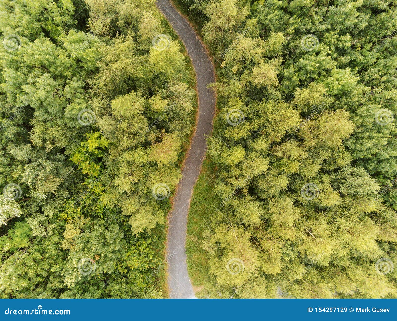 Path in a Green Forest, Aerial Top View Stock Image - Image of curves ...