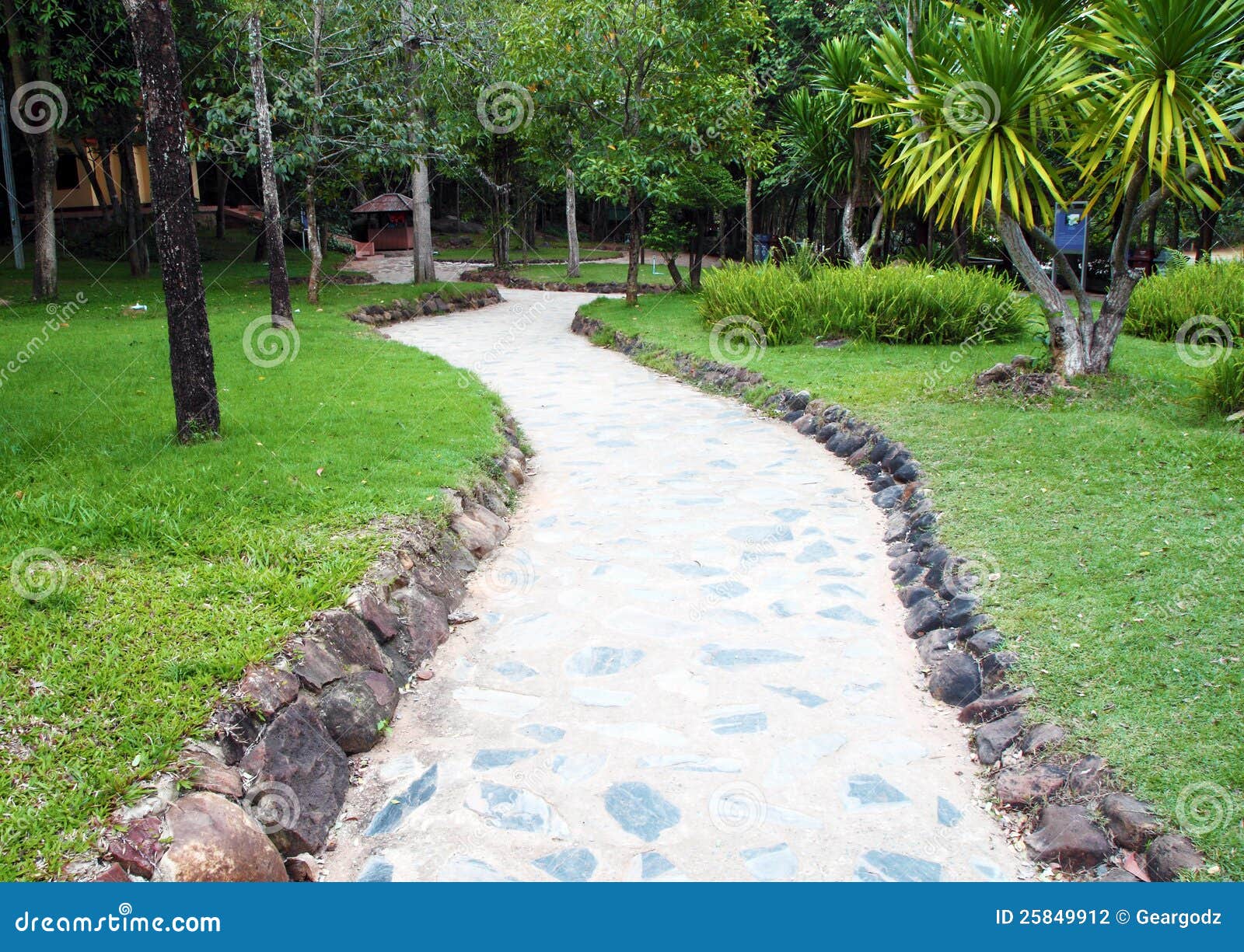 Path through a Green Garden Stock Photo - Image of natural, formal ...