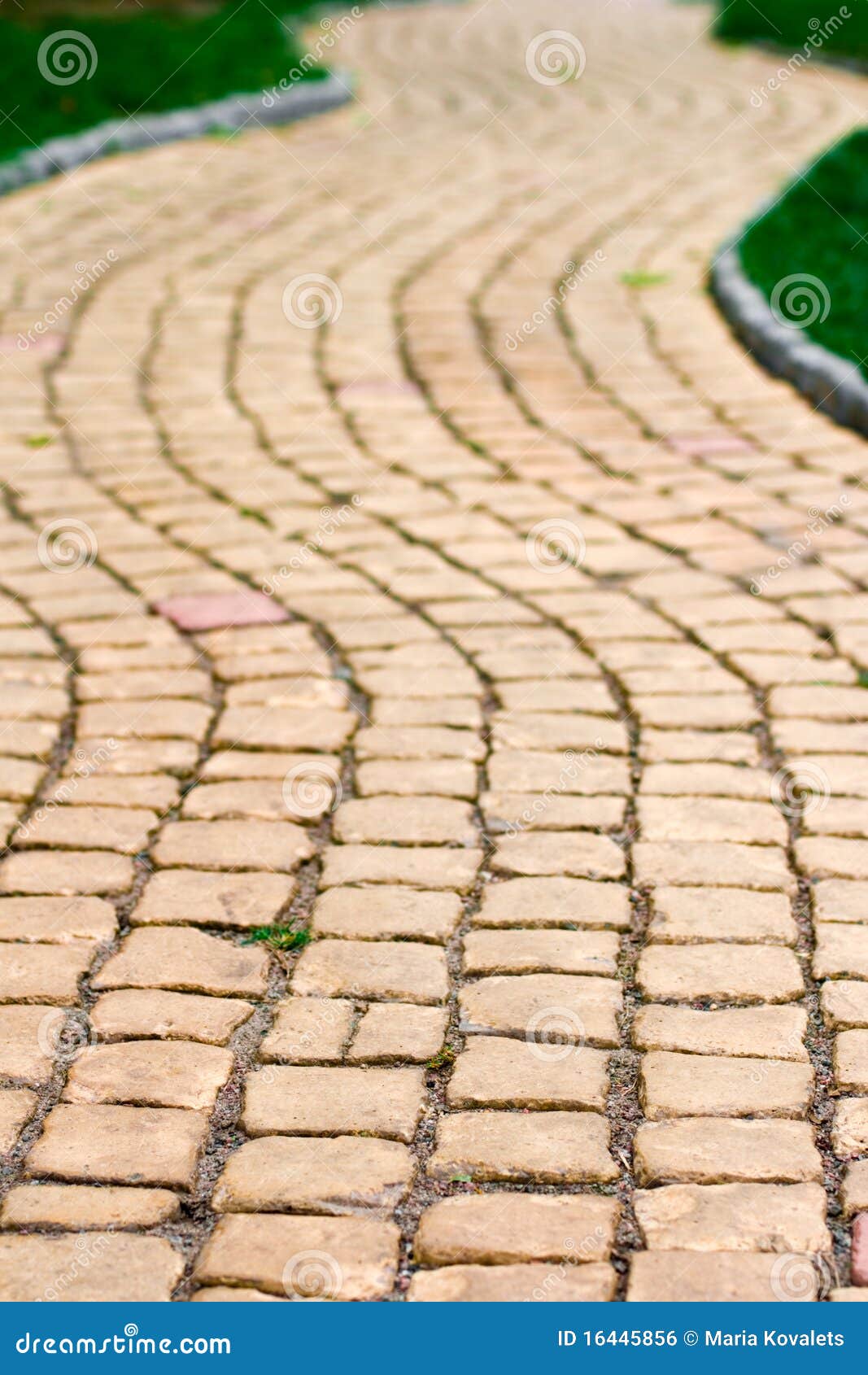 Path and green grass stock photo. Image of lawn, footpath - 16445856