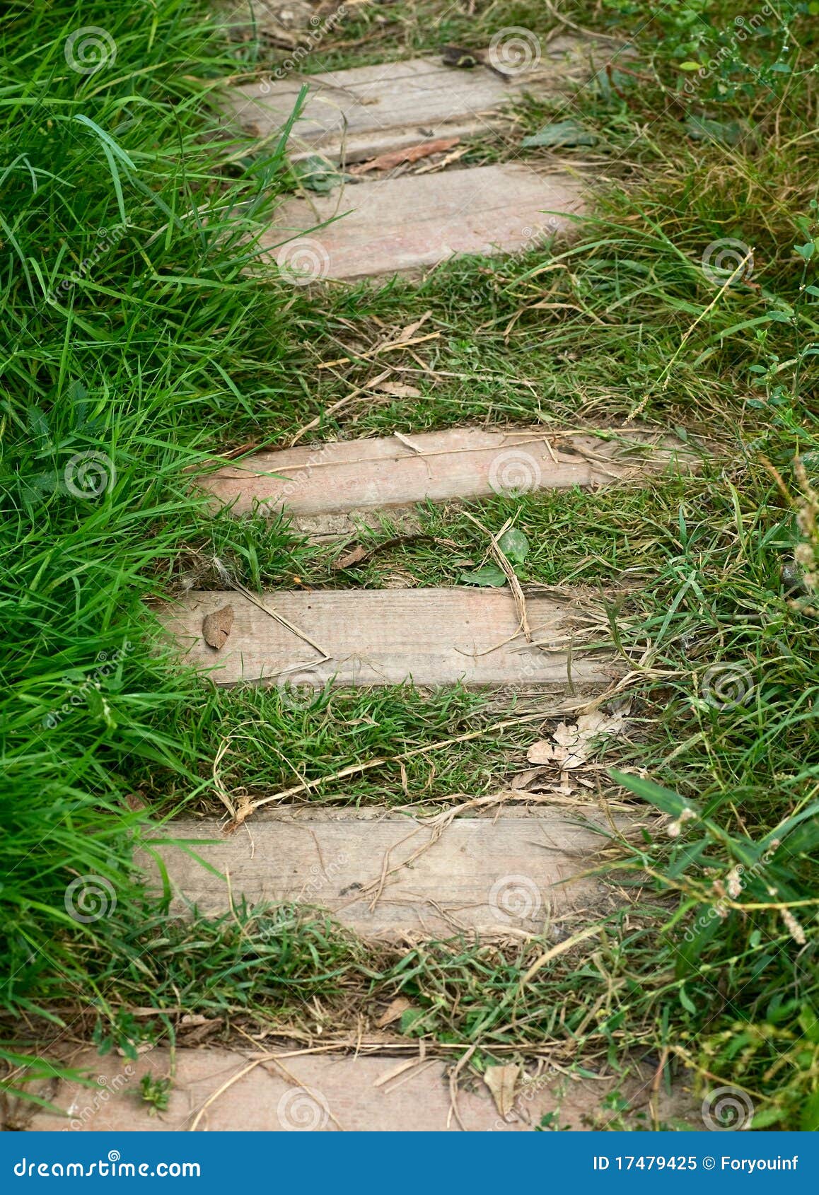 Path and green grass stock image. Image of wooden, step - 17479425