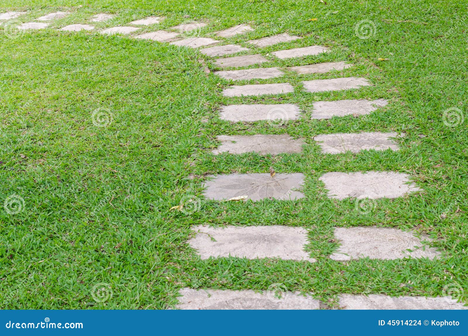 Path on green grass stock photo. Image of outdoor, ground - 45914224