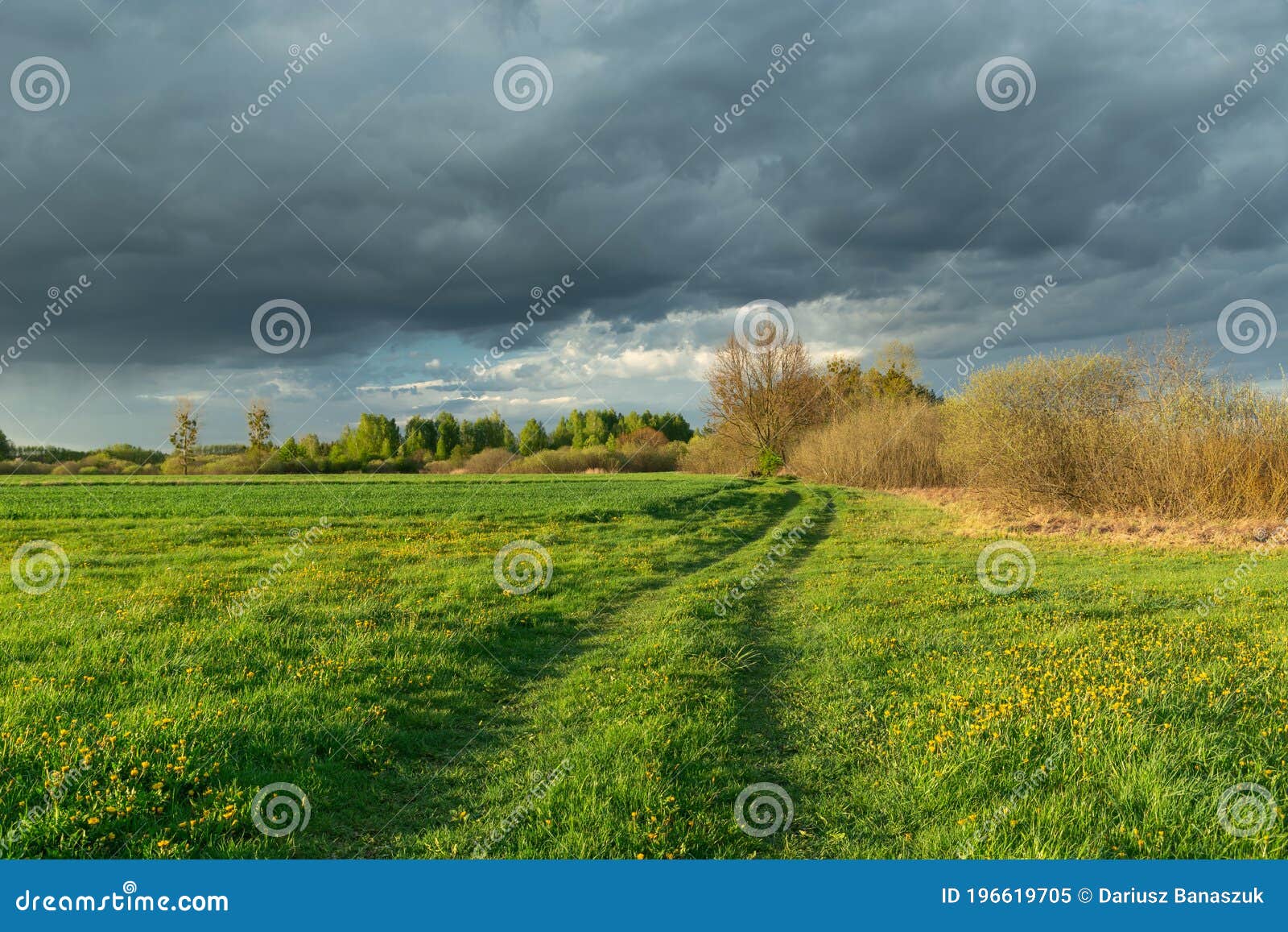 Path through a Green Meadow with Trees and Dark Rainy Clouds at the Sky ...