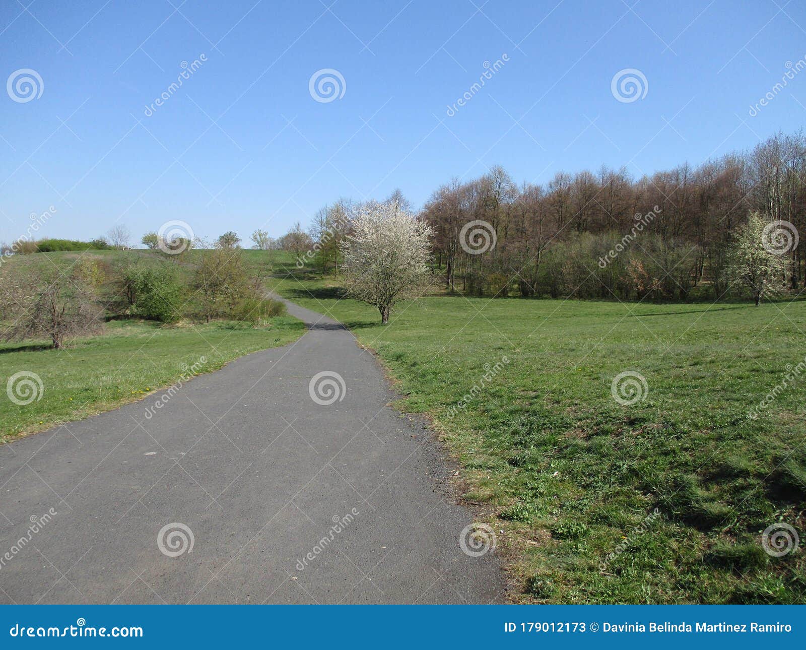 Path through a green park stock image. Image of nature - 179012173