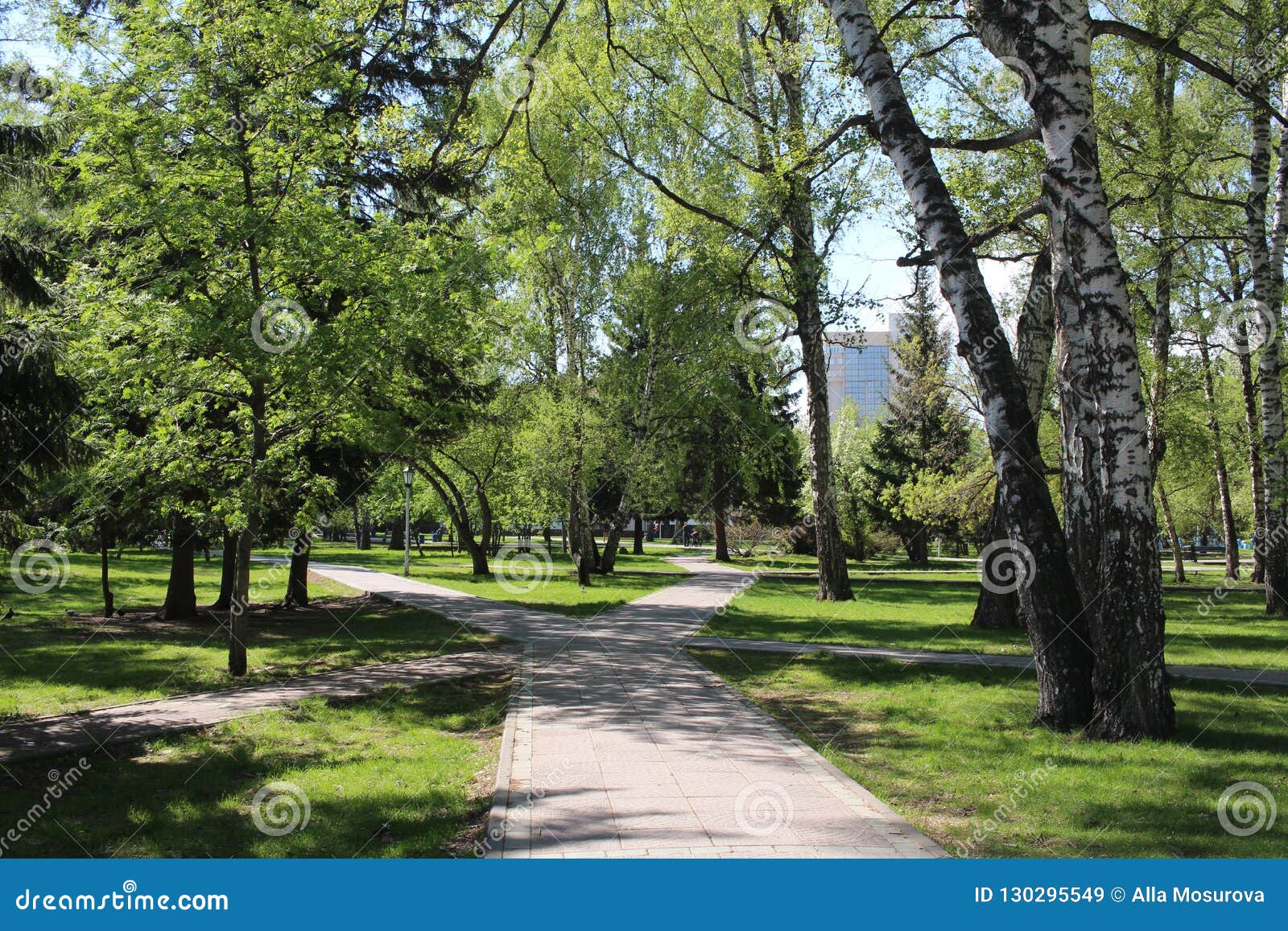 Path in the Park stock image. Image of treatment, shrubs - 130295549