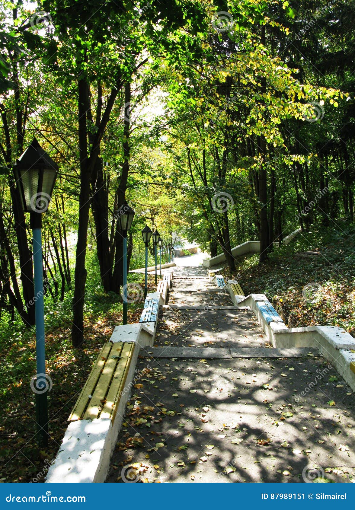Path in the Grove Forest Wood Park Nature Photo Stock Image - Image of ...
