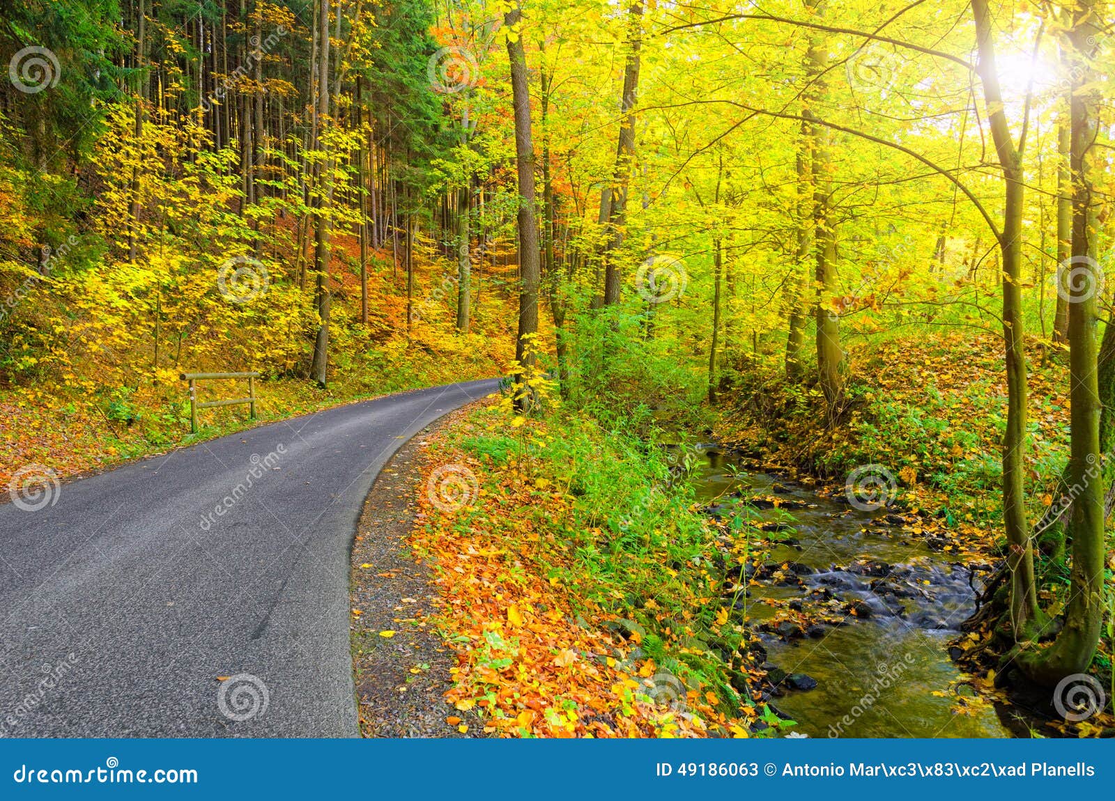 Path Guiding through Nature Park Stock Image - Image of plant, land ...