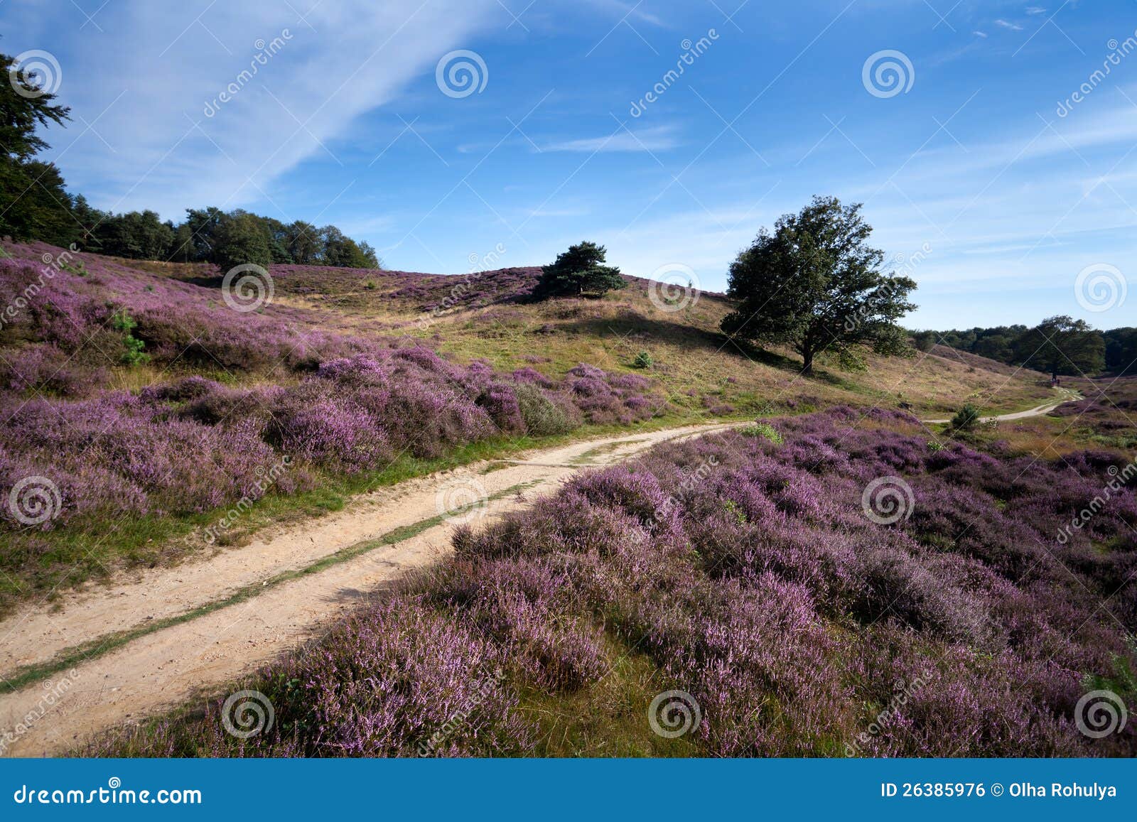 Path between heather hills stock photo. Image of blue - 26385976