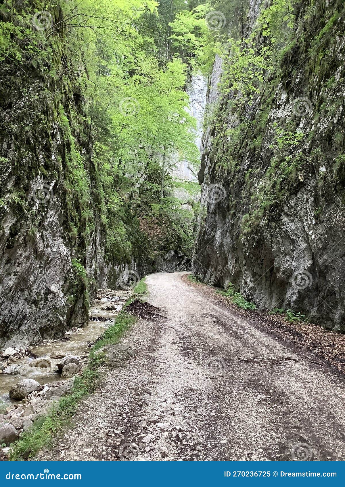 A path between high rocks stock image. Image of wilderness - 270236725