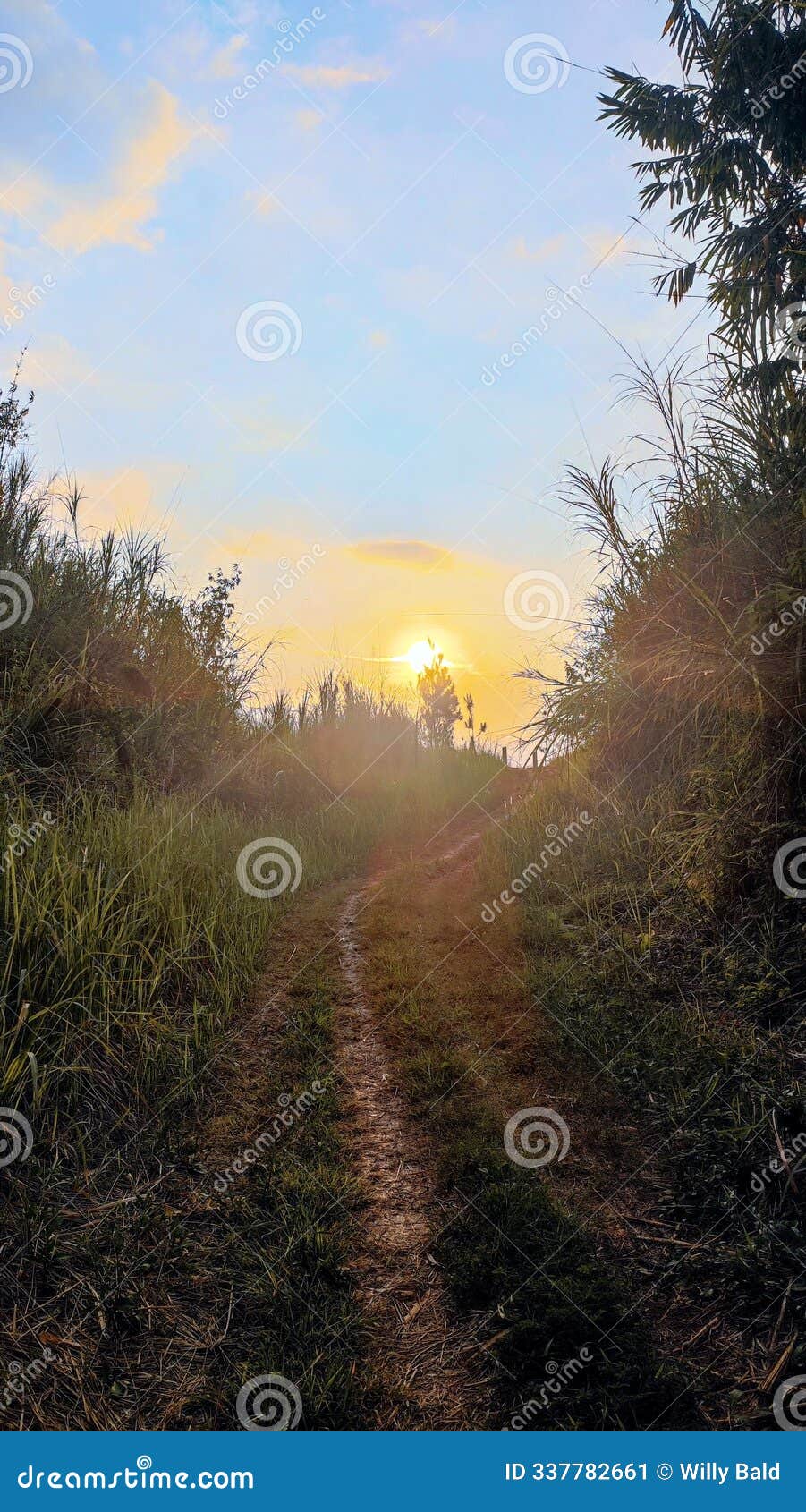 Path on a Hill with a Beautiful Sunset in the Background. Stock Image ...